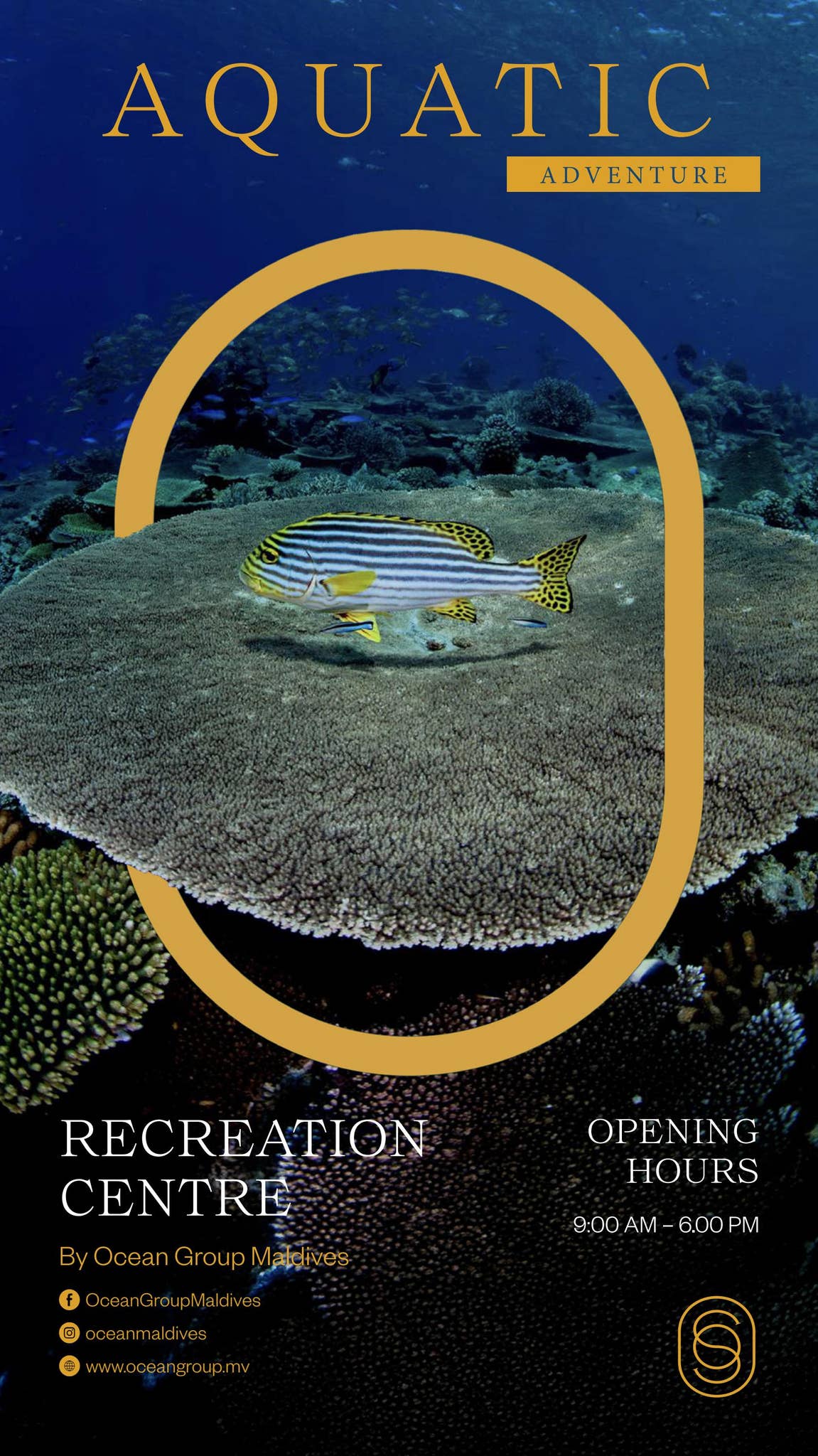 2025_Ocean - Recreation Center by SO/ Maldives - Issuu