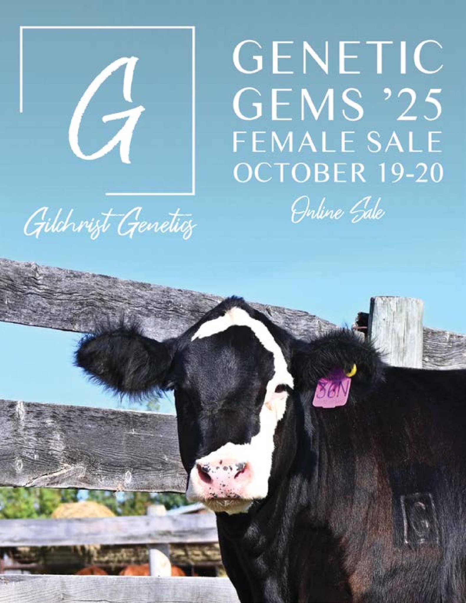 Gilchrist Genetic Gems Female Sale 2025 by Bohrson Marketing Services ...