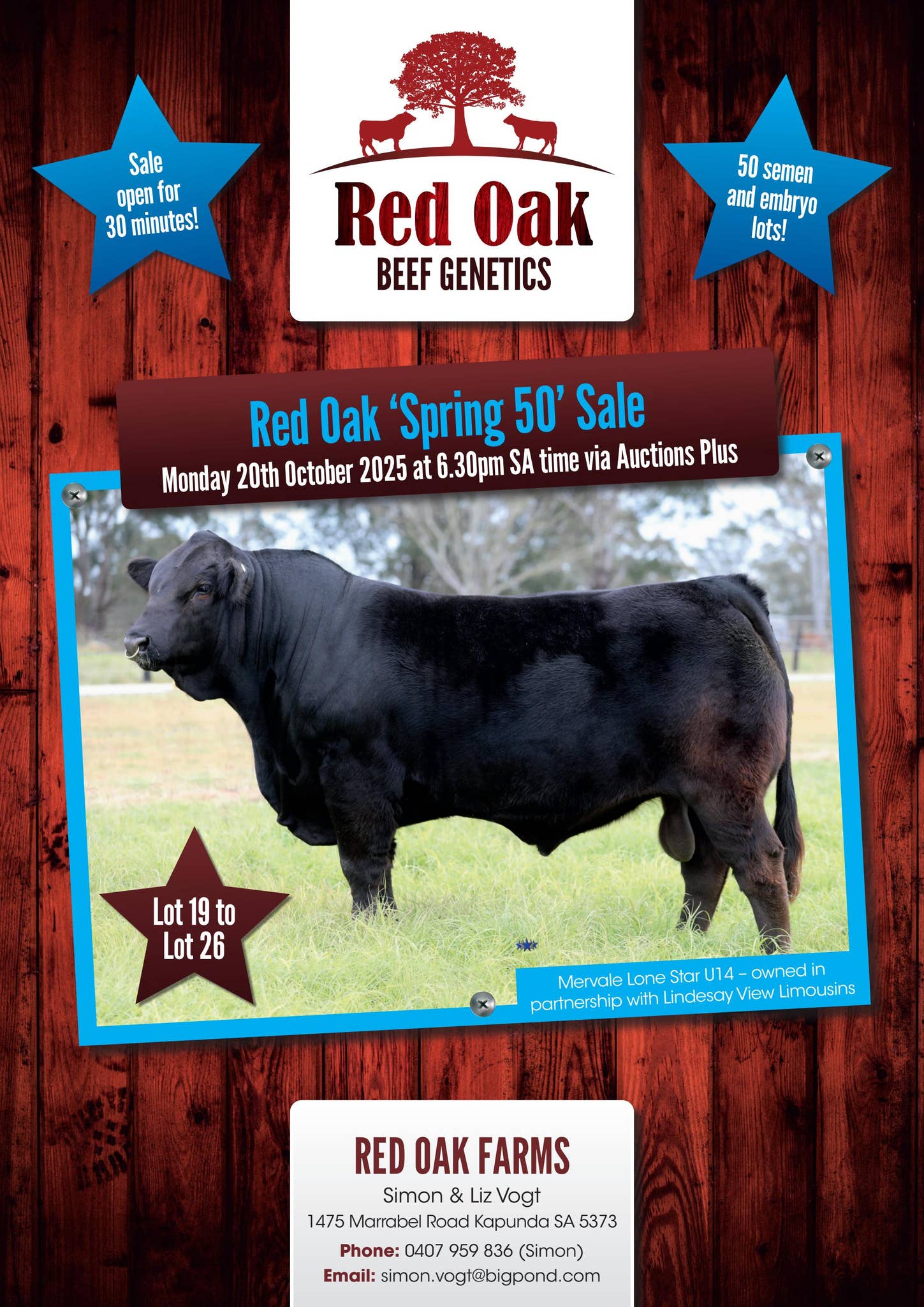 Red Oak 'Spring 50' 2025 Sale Flyer by eurekaprinters - Issuu