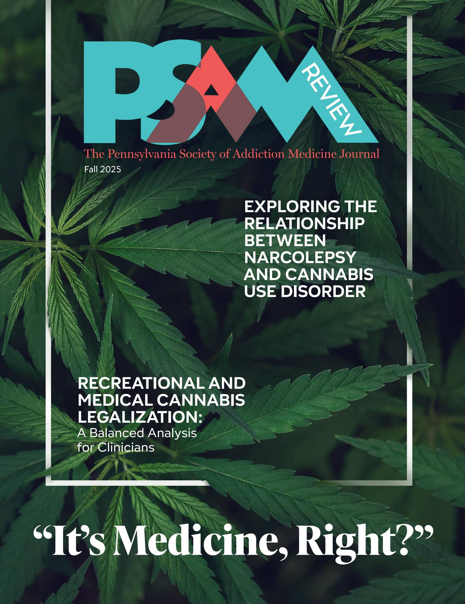 PSAM Review Fall 2025 by Hoffmann Publishing Group - Issuu
