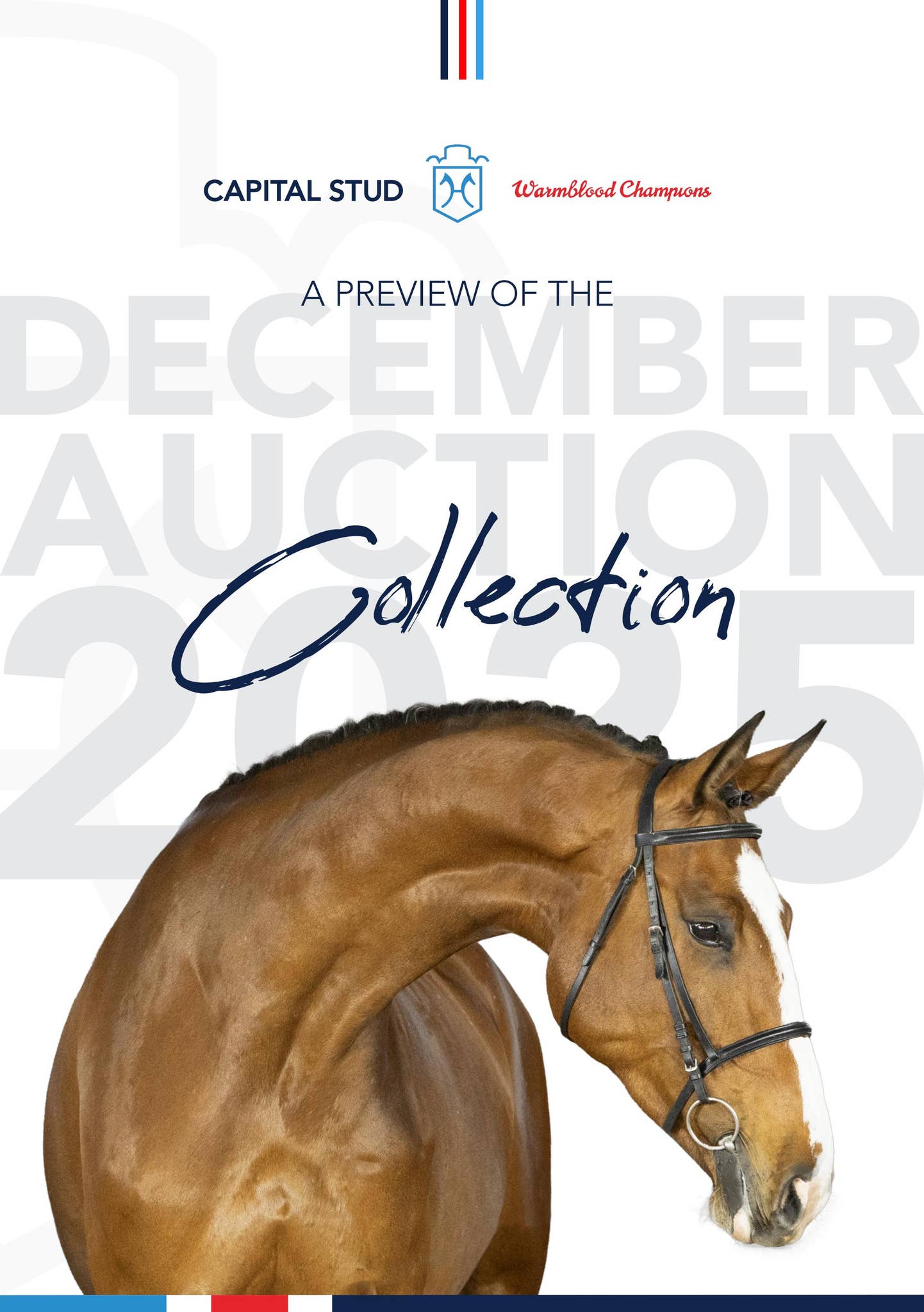CAPITAL STUD COLLECTION 2025 - A PREVIEW by hqmagazine - Issuu