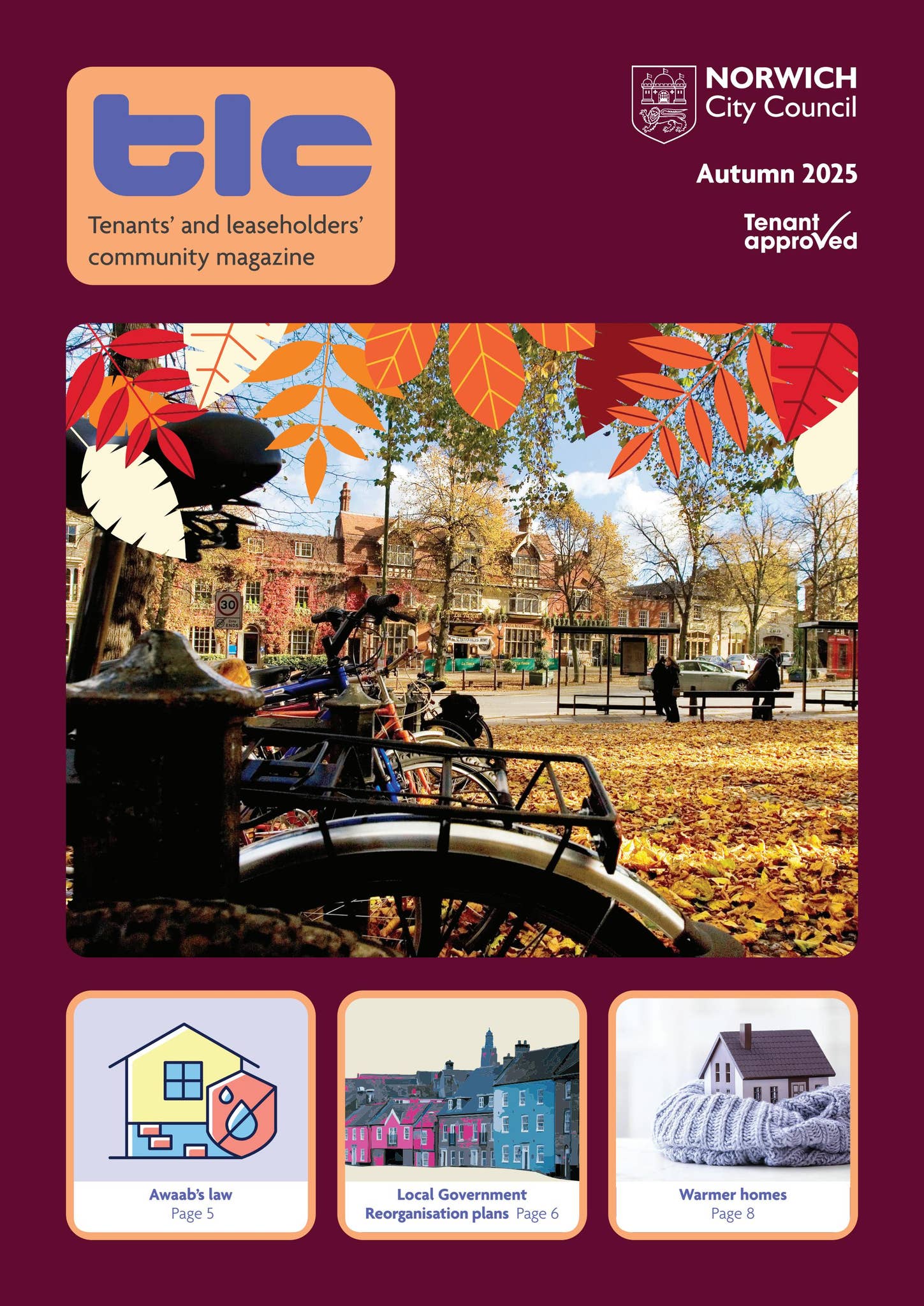TLC Magazine Autumn 2025 by Norwich City Council - Issuu