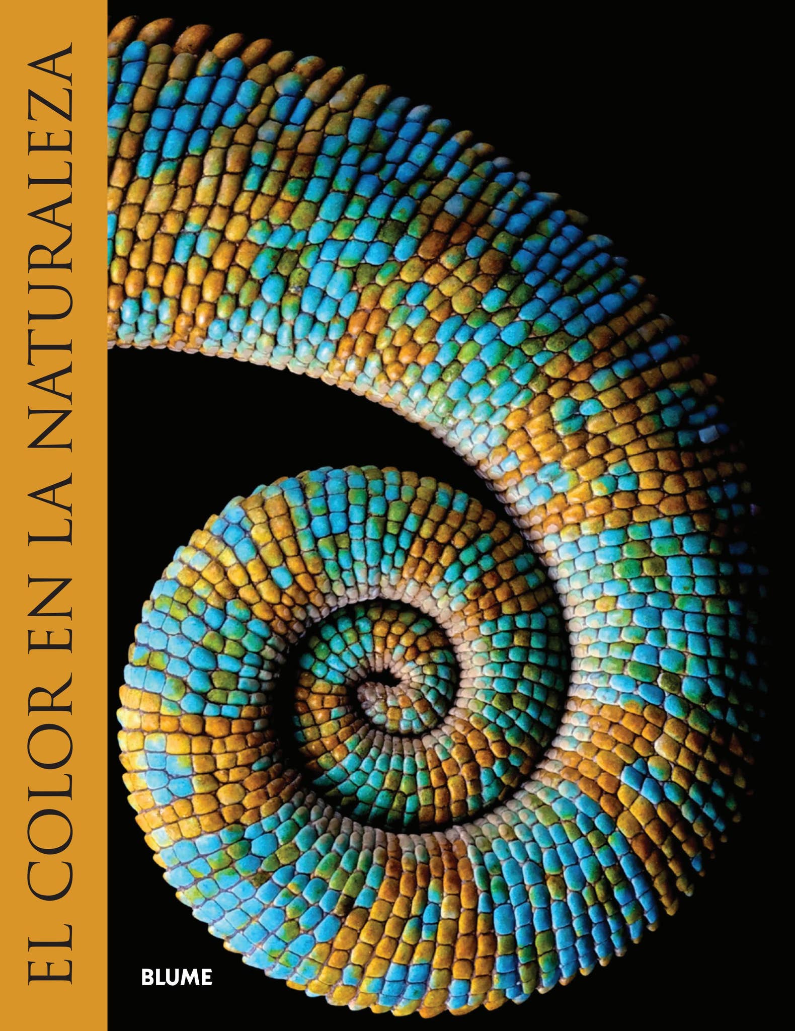El color en la naturaleza by Editorial Blume - Issuu