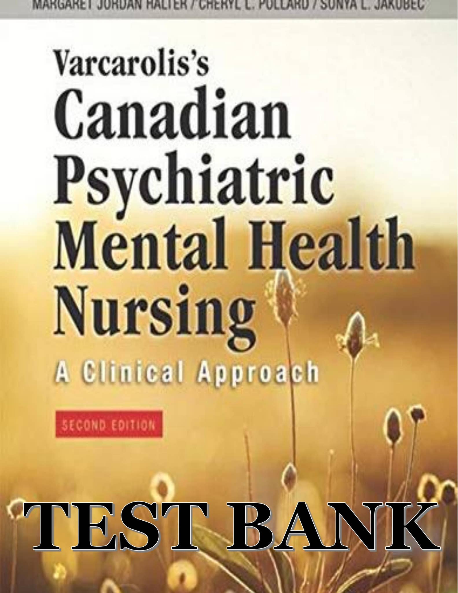 Test Bank for Varcarolis’s Canadian Psychiatric Mental Health Nursing ...