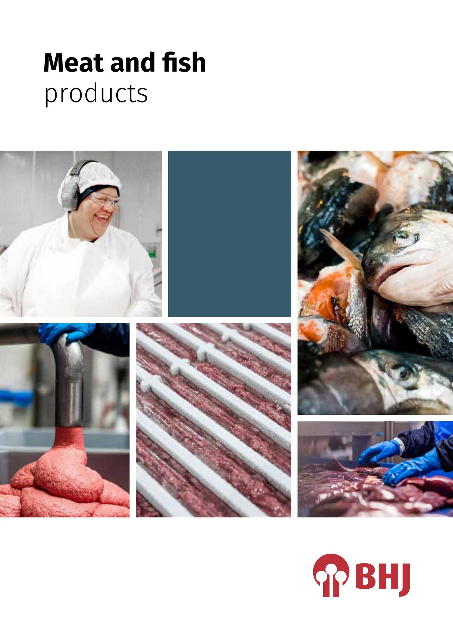 Asia Pacific - Meat and fish product catalogue by BHJ A/S - Issuu