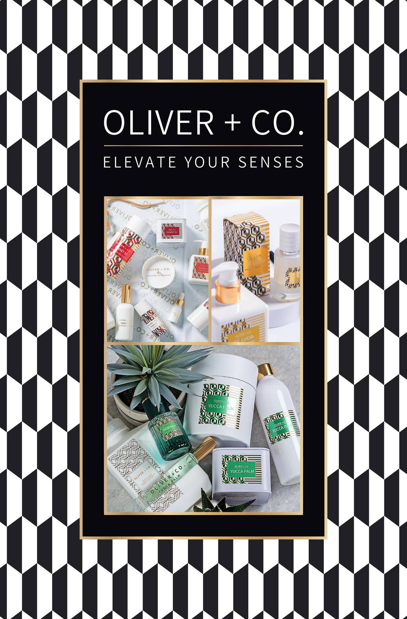 Oliver + Co. Line Sheet 2025 by Just Got 2 Have It! - Issuu