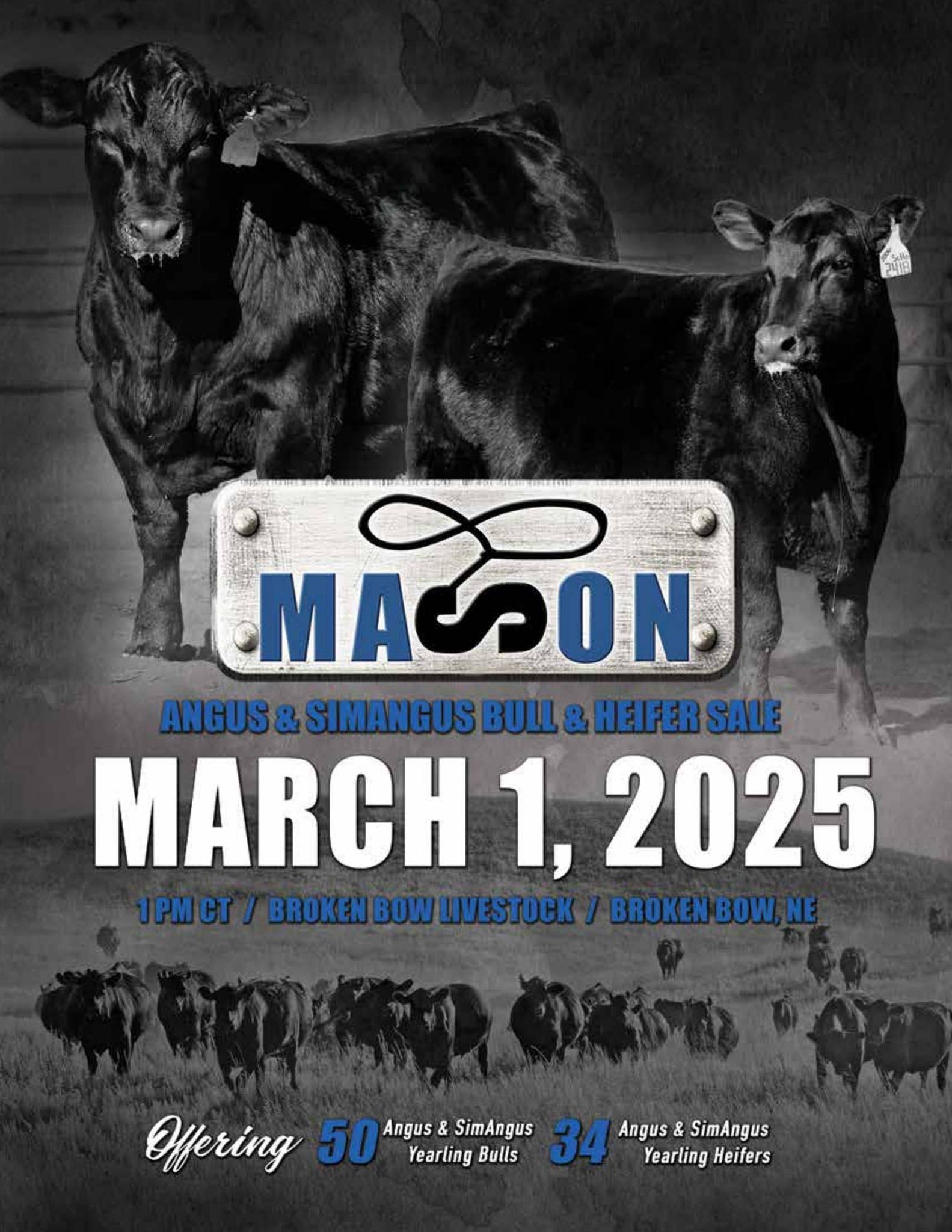 Mason Angus and SimAngus Annual Bull Sale 2025 by Honor Ag Branding - Issuu