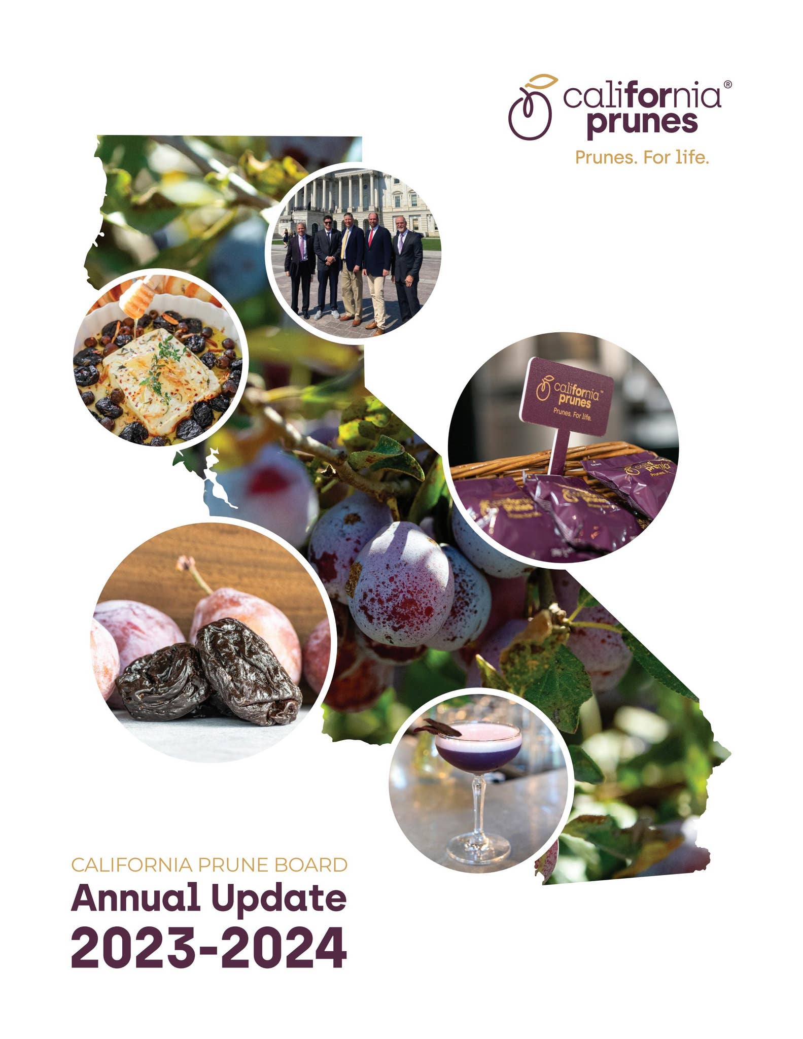 CA Prune Board Annual Update 2023-24 by NSTPR - Issuu