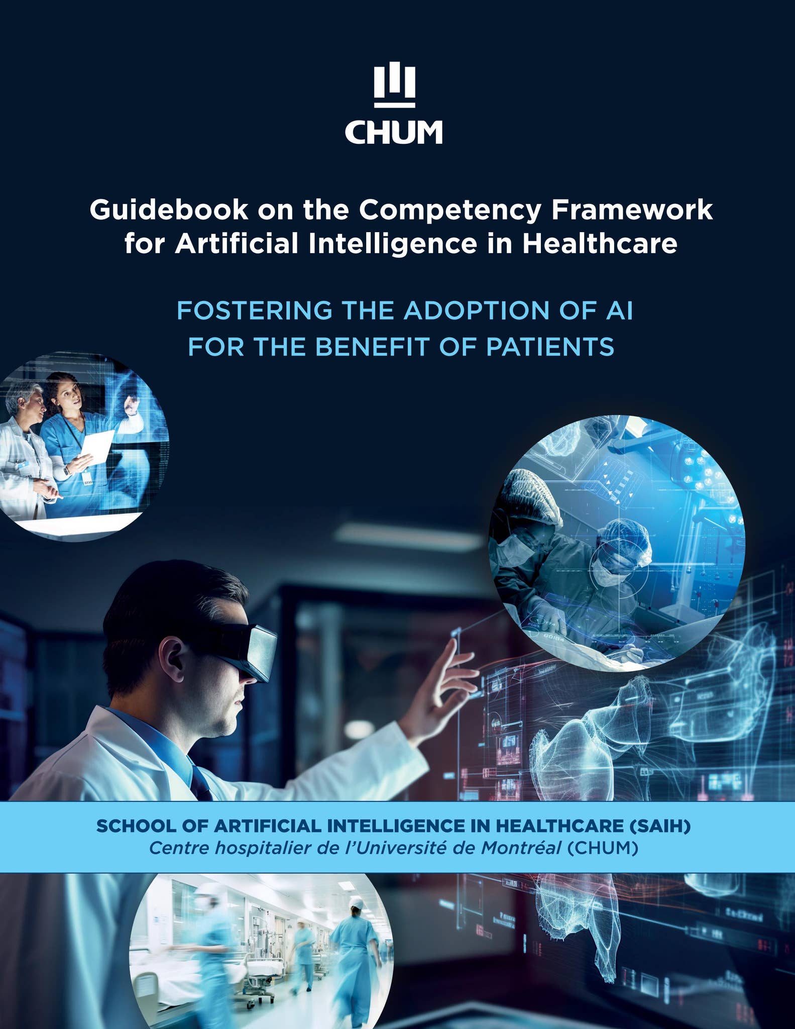 Guidebook on the Competency Framework for Artificial Intelligence in ...