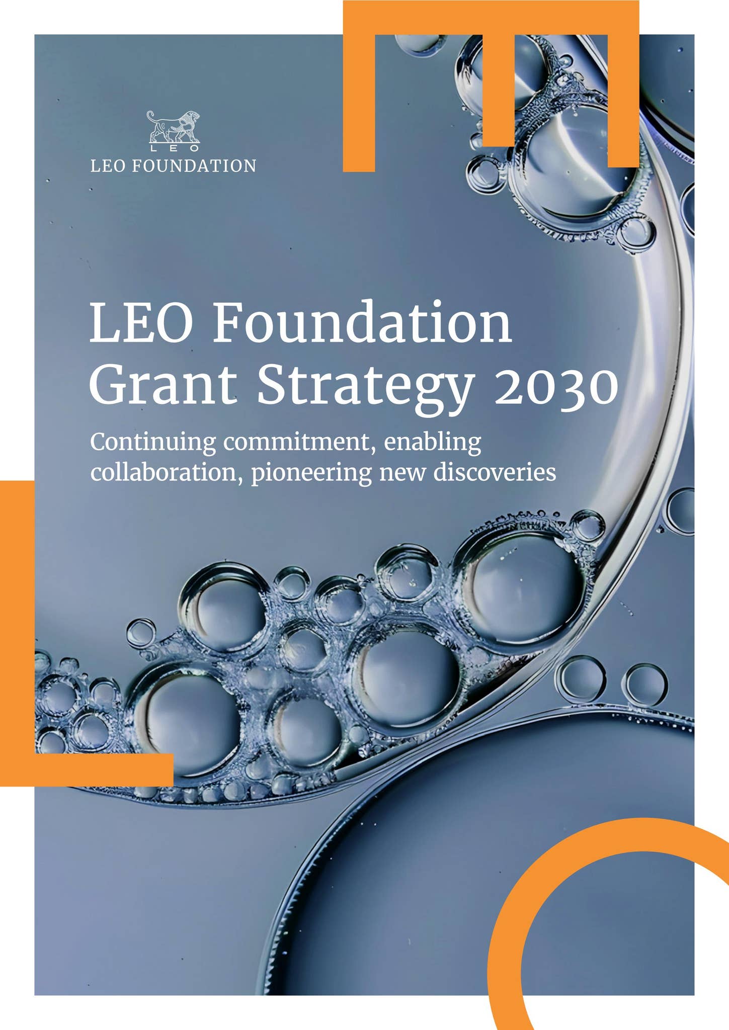 LEO Foundation - Grant Strategy 2030 by LEO Foundation - Issuu