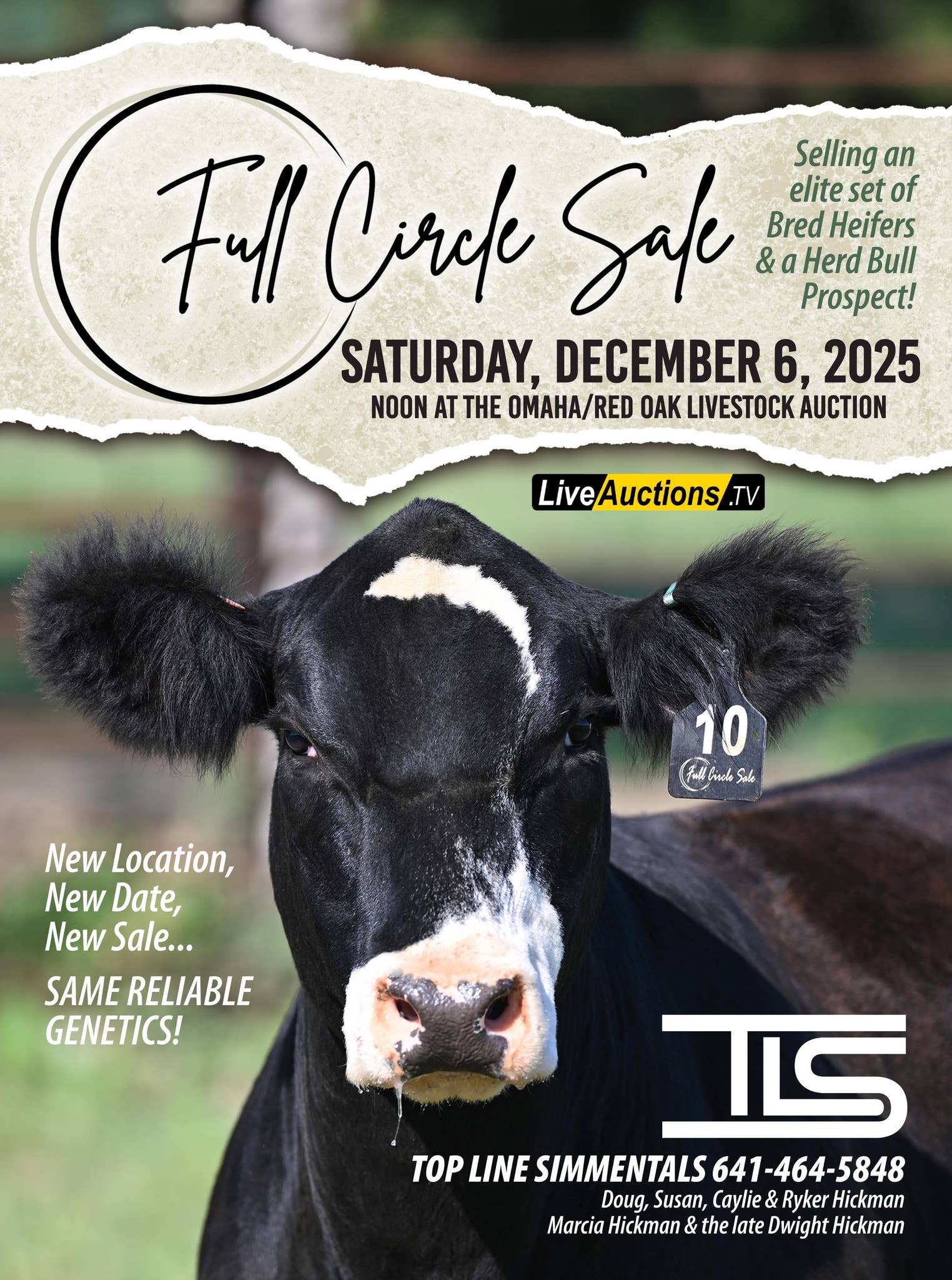2025 Top Line Simmentals Catalog by KBGD - Issuu