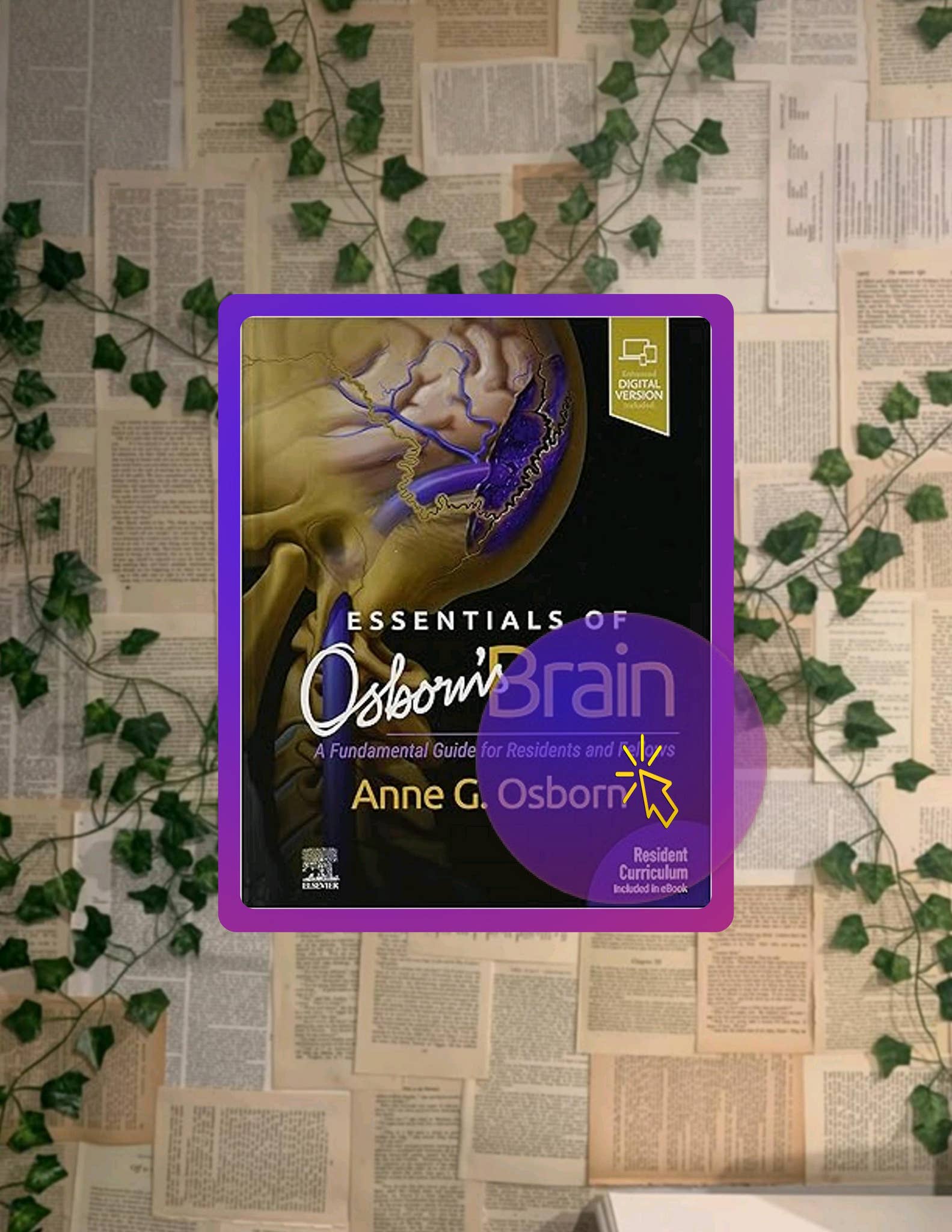 EBOOK Anne G. Osborn MD by Anne G. Osborn MD by shyannklinggr - Issuu