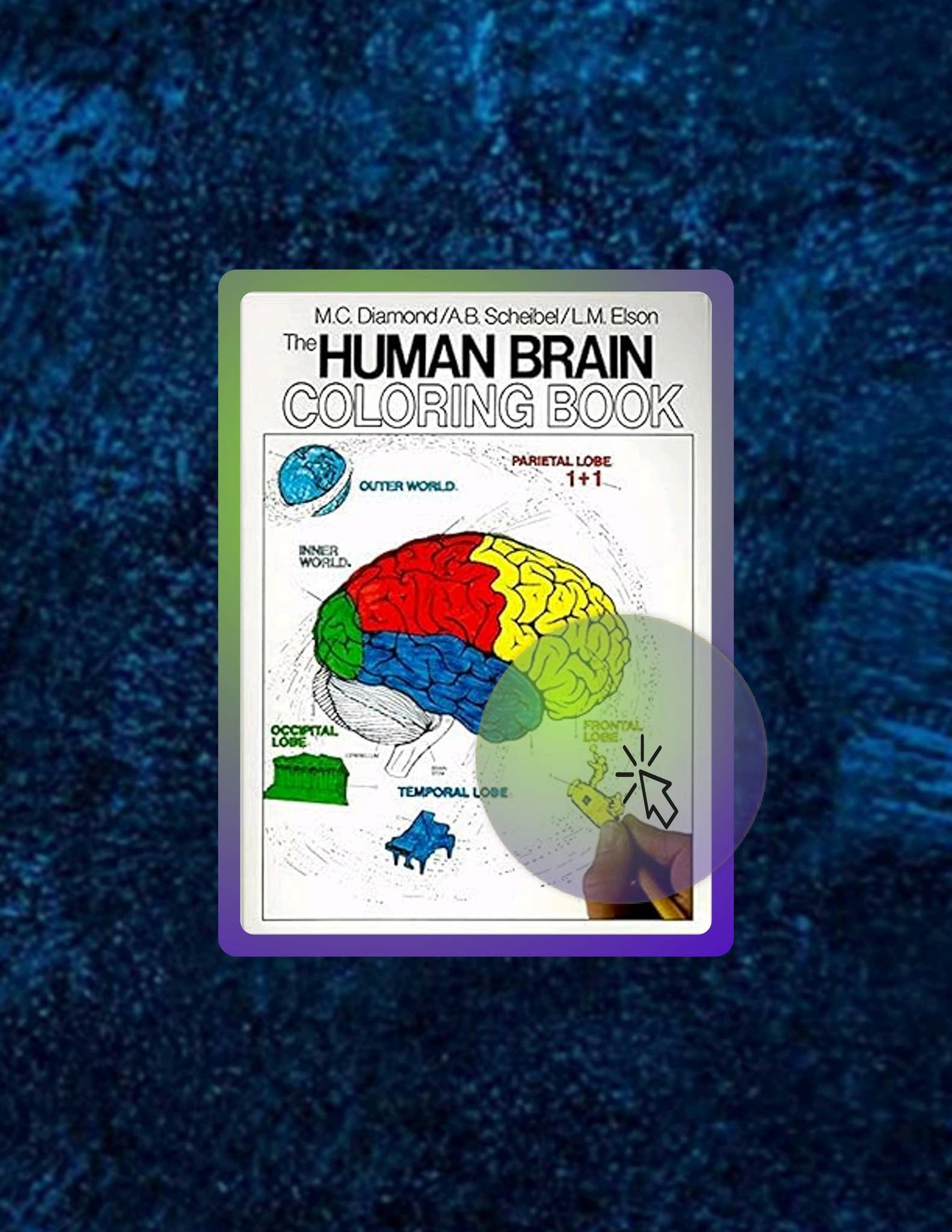 Digital PDF The Human Brain Coloring Book: A Coloring Book (Coloring ...