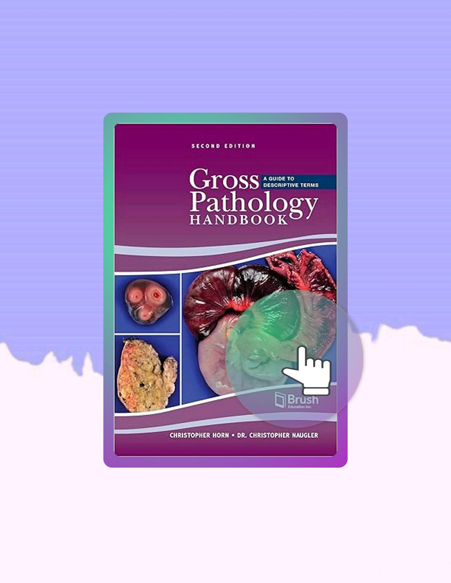 Digital PDF Gross Pathology Handbook: A Guide to Descriptive Terms by ...