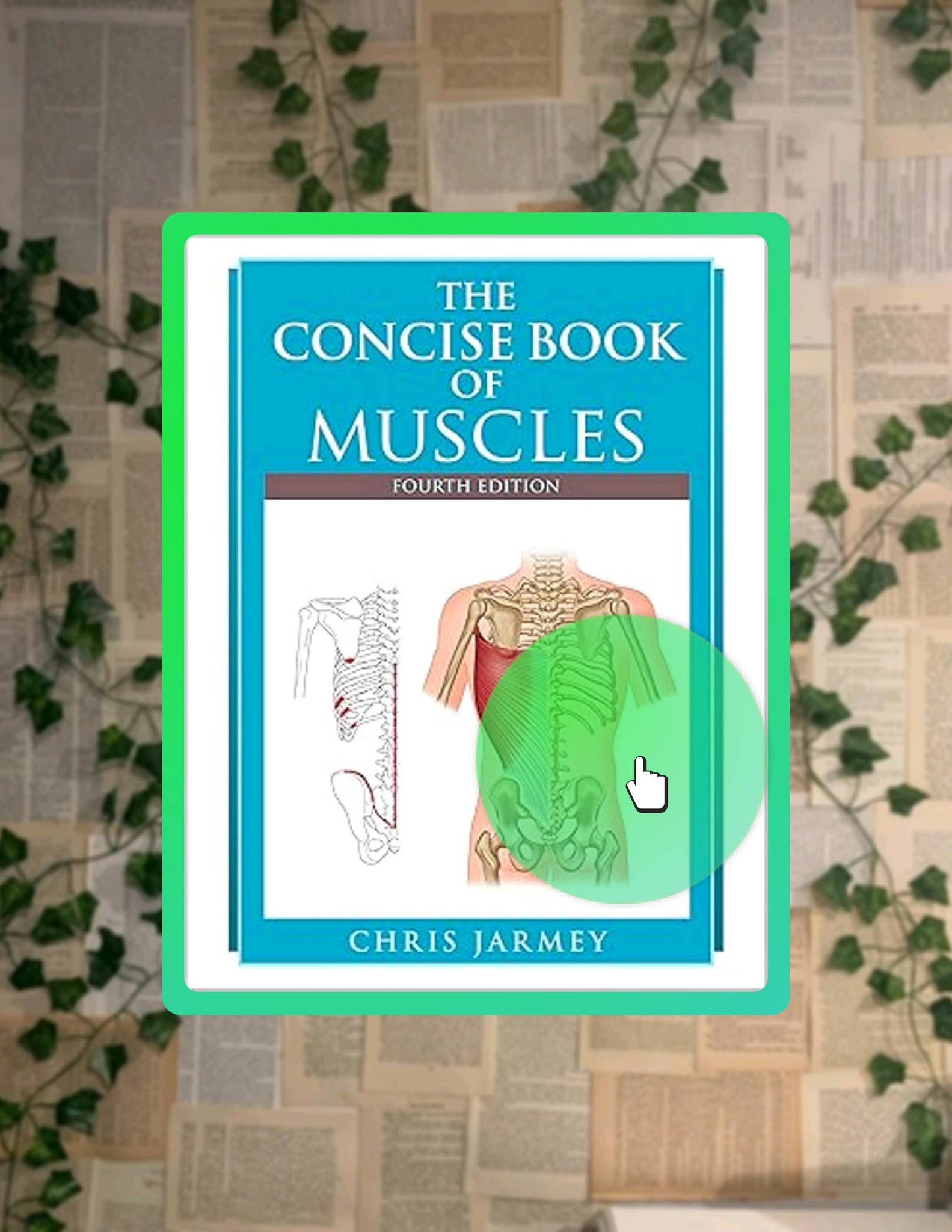 E-book The Concise Book of Muscles, Fourth Edition by Chris Jarmey by ...
