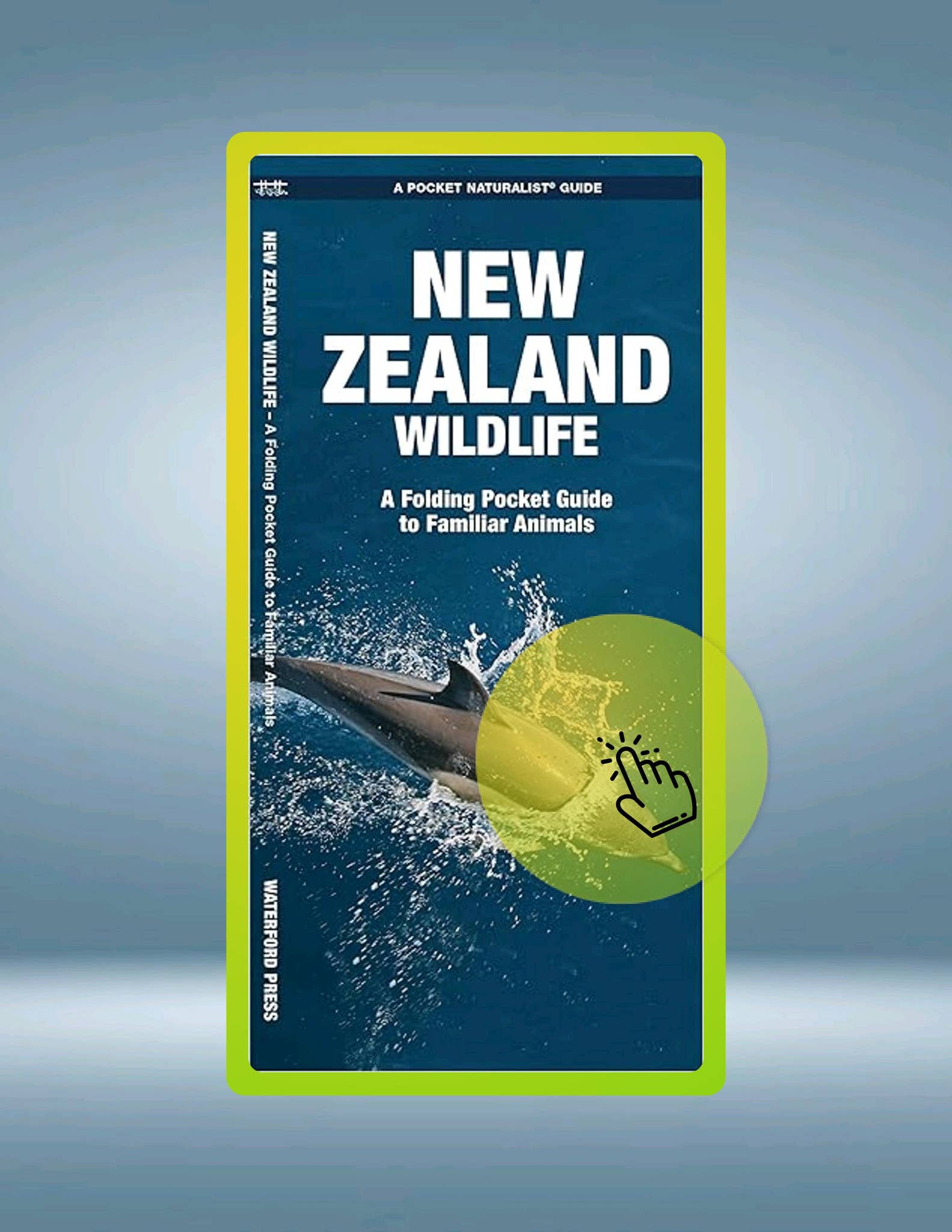 EBOOK New Zealand Wildlife (Nature Observation International) by James ...