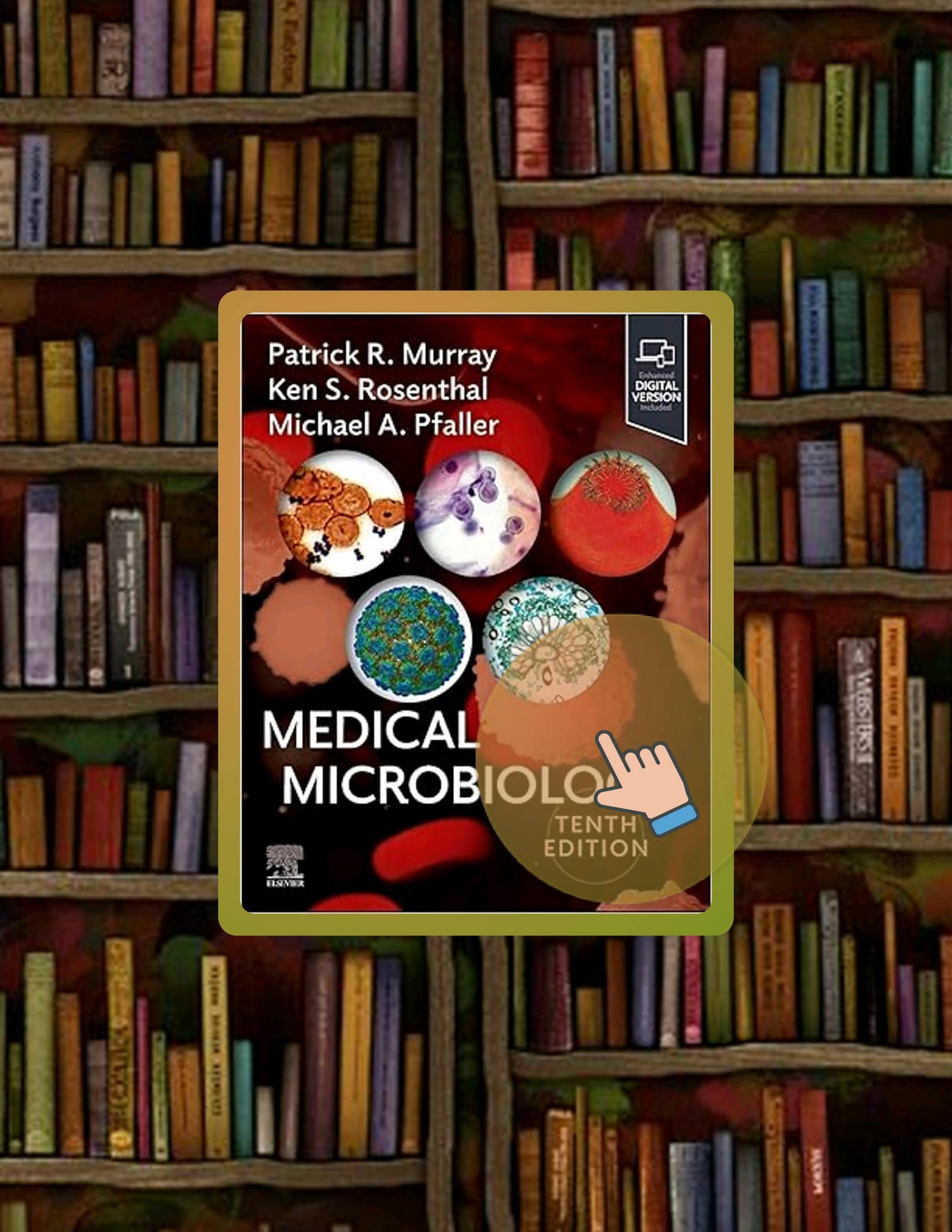 PDF Medical Microbiology by Patrick R. Murray PhD F(AAM) F(IDSA) by ...