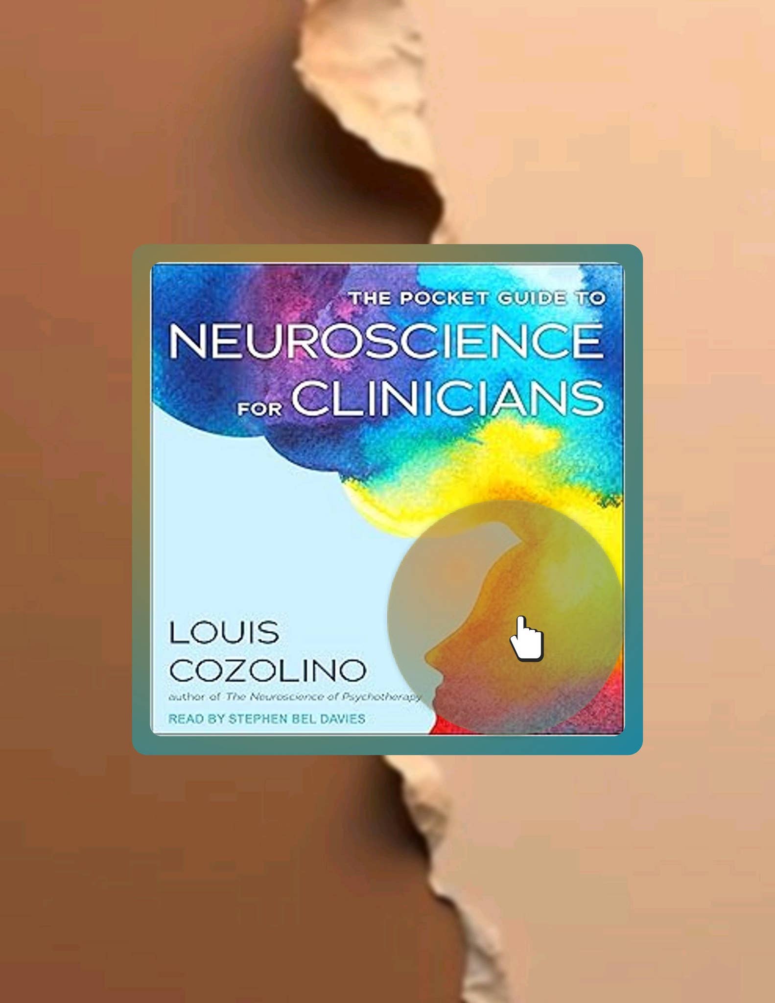Digital Book The Pocket Guide to Neuroscience for Clinicians: Norton ...