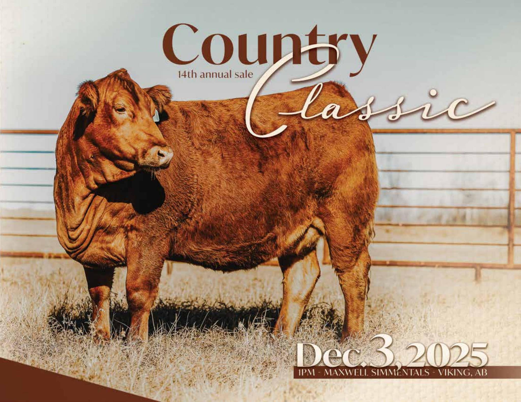 Country Classic 14th Annual Simmental Sale by Bohrson Marketing ...