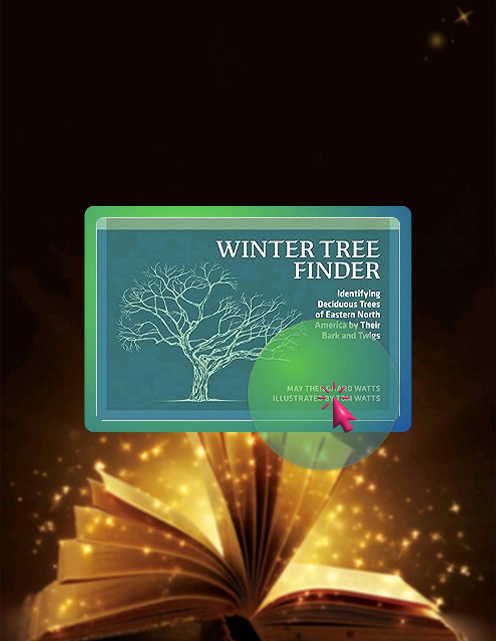 PDF Winter Tree Finder: Identifying Deciduous Trees of Eastern North ...