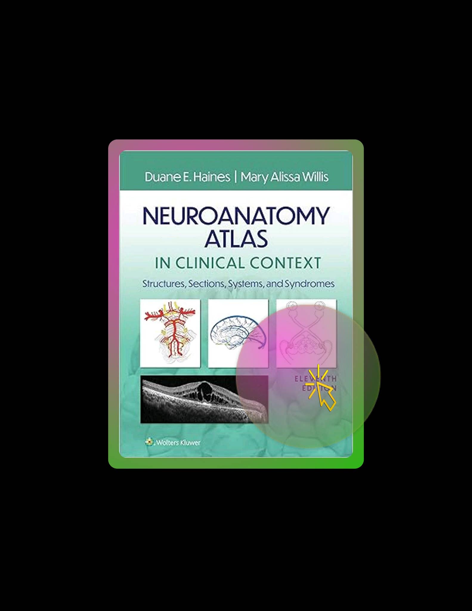 Read & Learn Neuroanatomy Atlas in Clinical Context: Structures ...