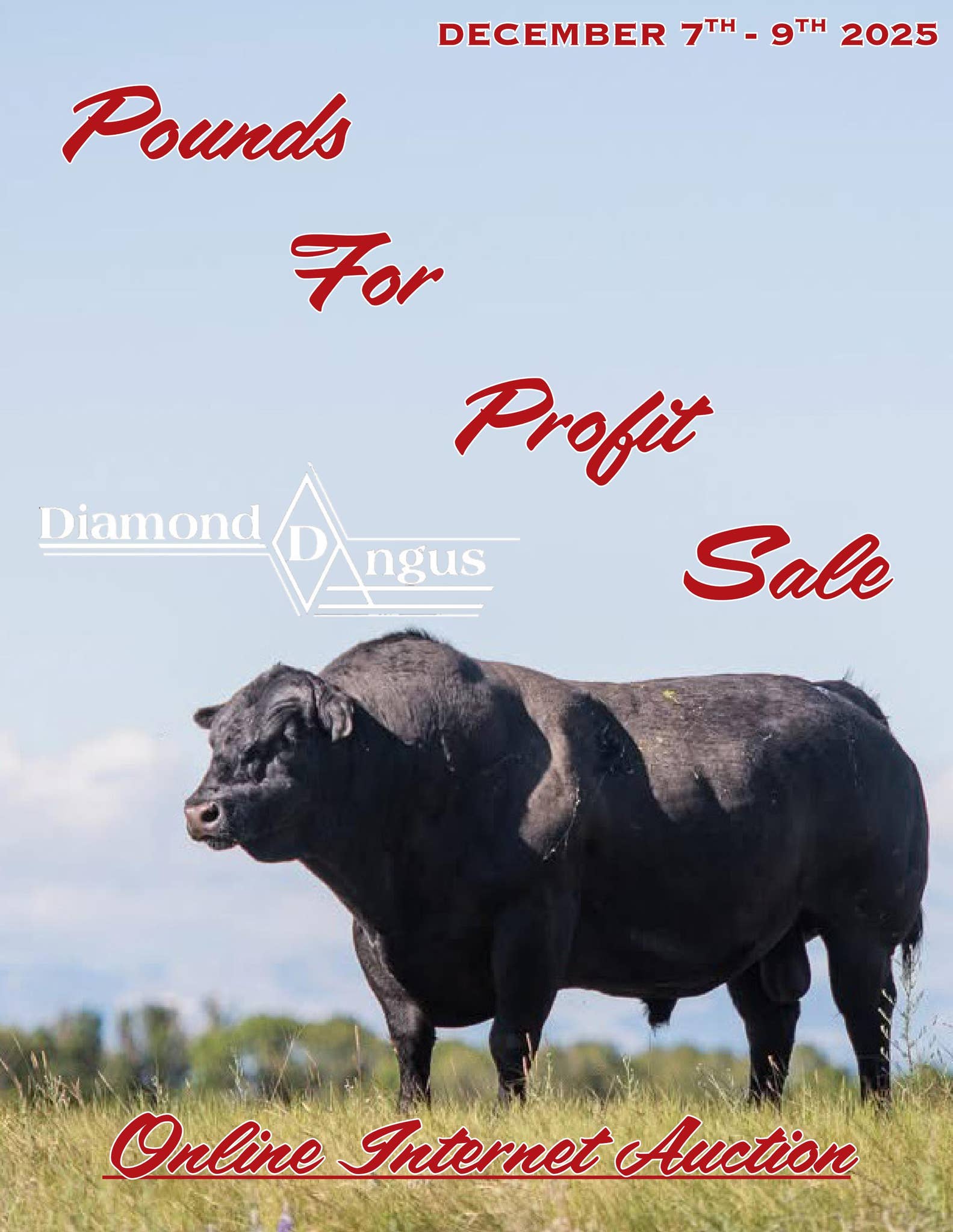 Diamond D Angus Sale Catalog 2025 by PeltonLivestock - Issuu
