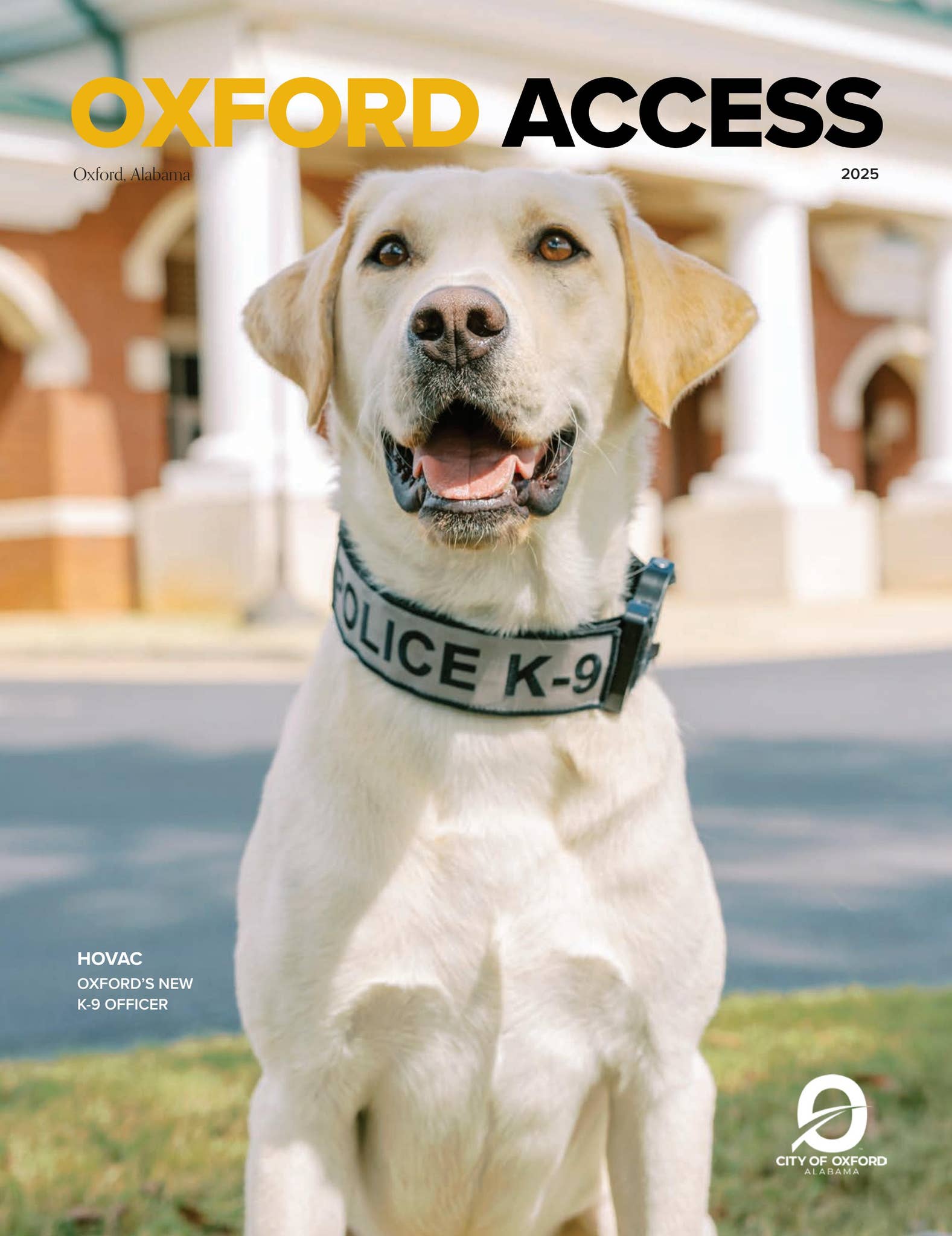 Oxford Access Magazine Vol 9 Issue 4 by City of Oxford - Issuu