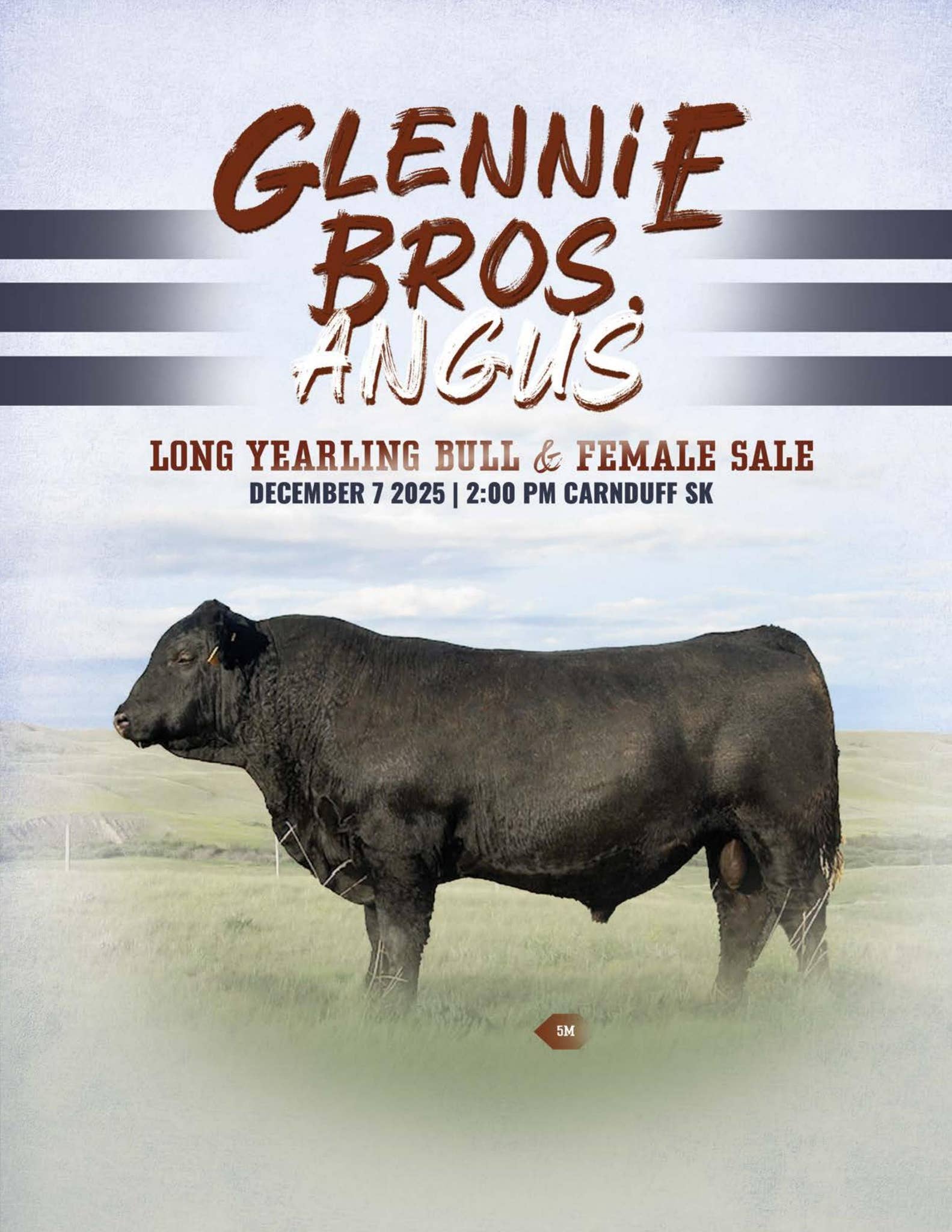Glennie Bros. Angus Long Yearling Bull & Female Sale - Carnduff, SK by ...