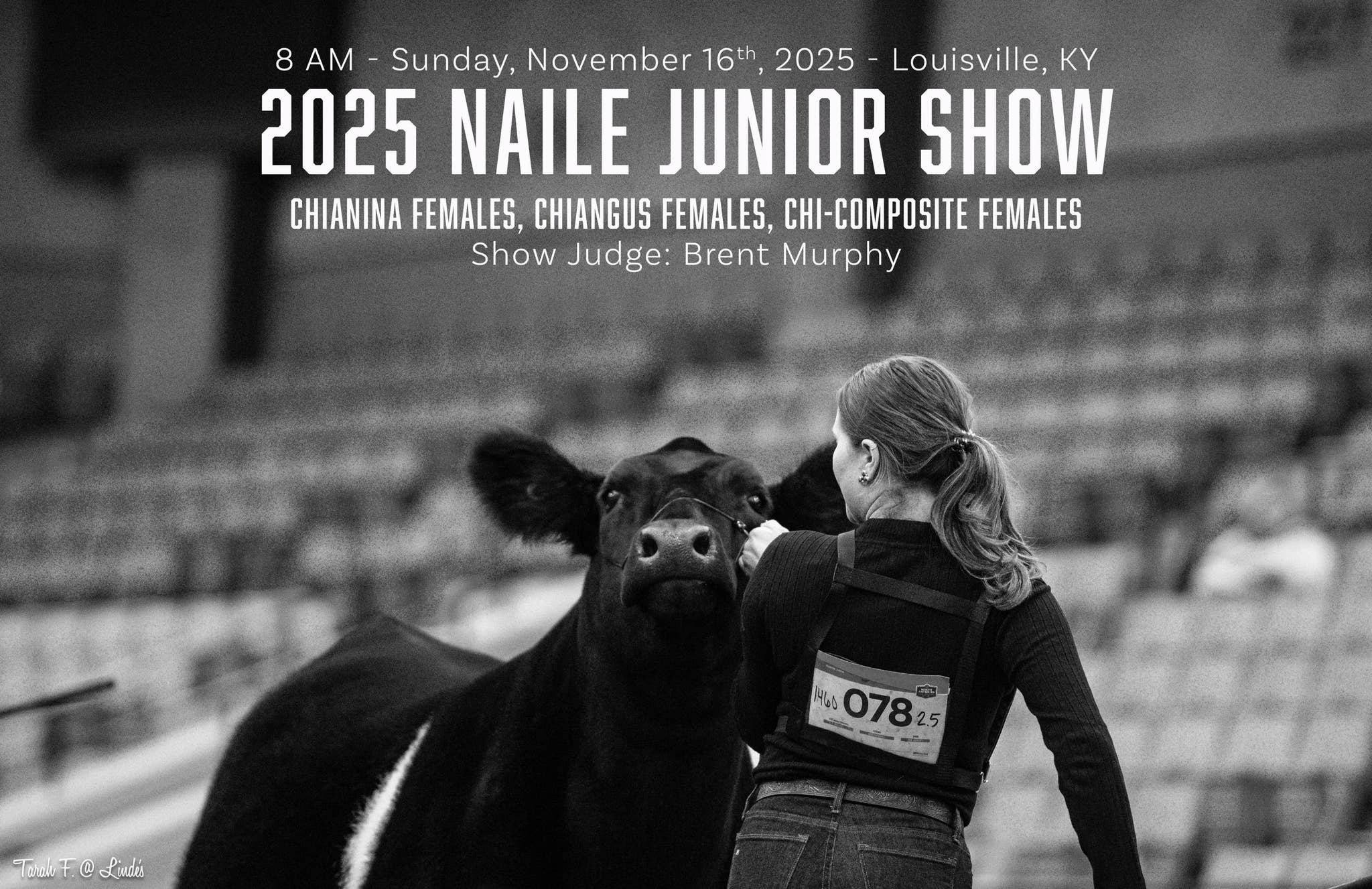 2025 NAILE Chianina Junior Show Program by American Chianina Journal ...