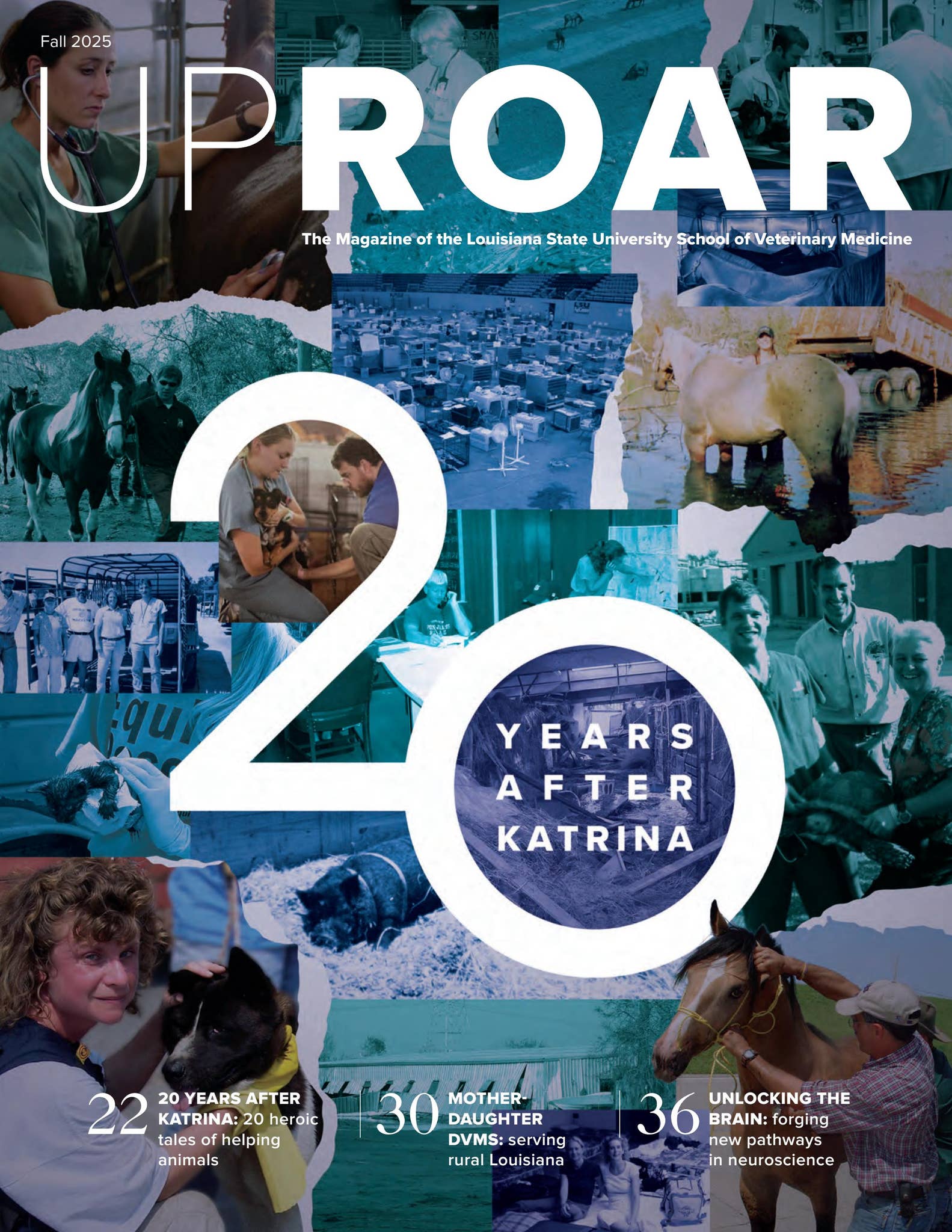 UpRoar magazine - Fall 2025 by LSU School of Veterinary Medicine - Issuu