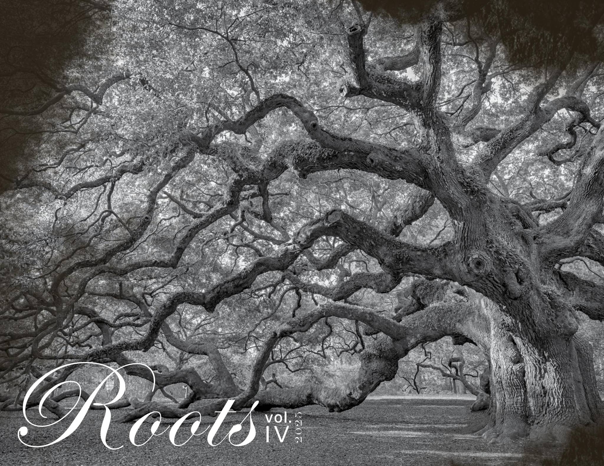 Roots Vol. IV -2025 Photo Book by Hall and Hall - Issuu