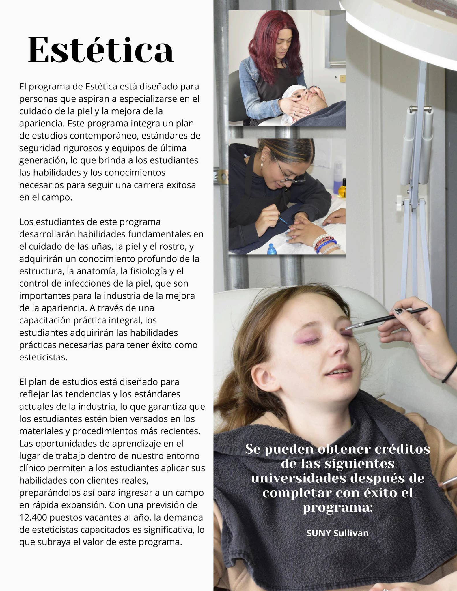 Career & Tech Center: Spanish Program Brochure by Sullivan BOCES ...