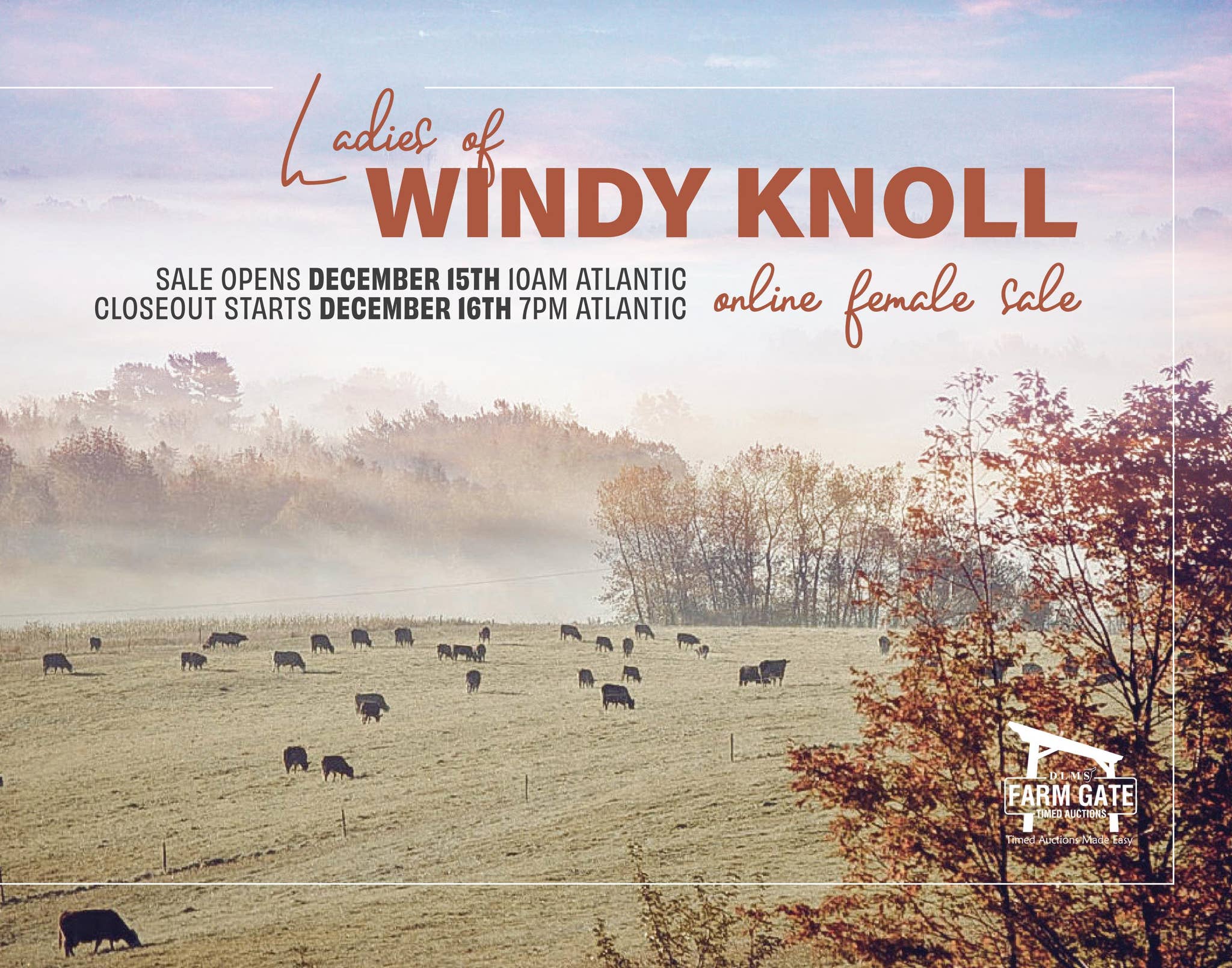 Ladies of Windy Knoll Female Sale 2025 by gonewestmedia - Issuu