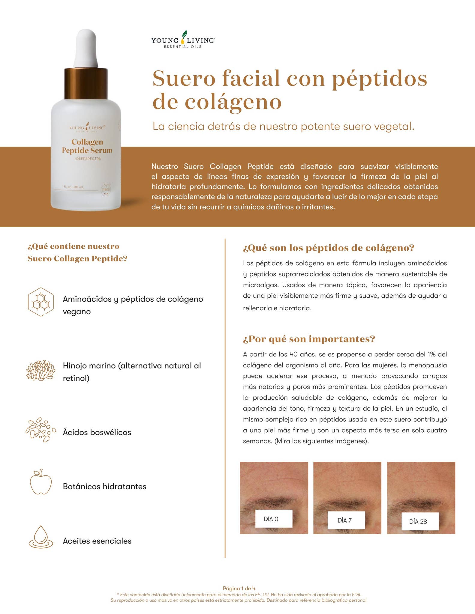 Collagen Peptide Serum Con Letra Chica By Young Living México Issuu