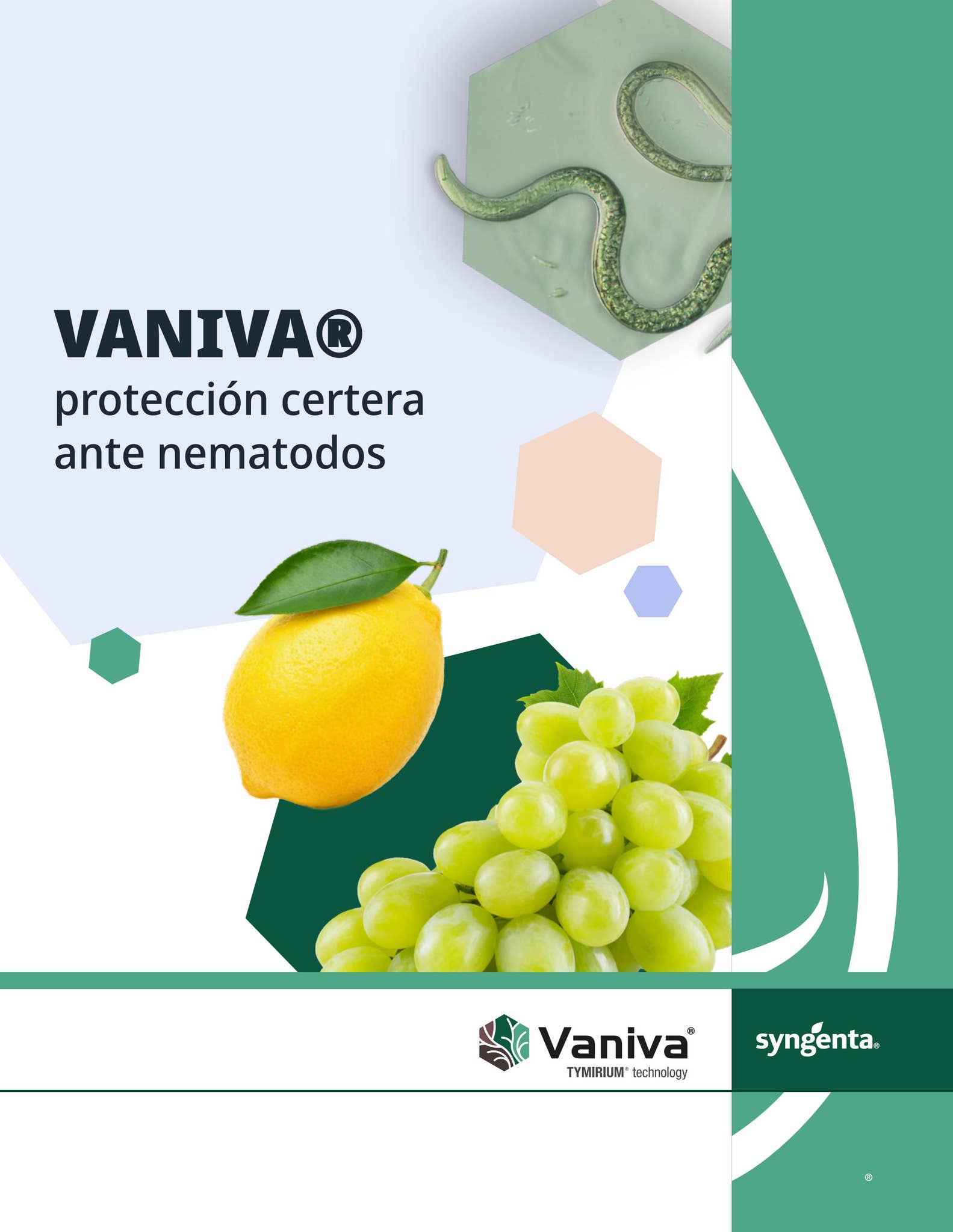 VANIVA®, protección certera ante nematodos by Syngentachile - Issuu