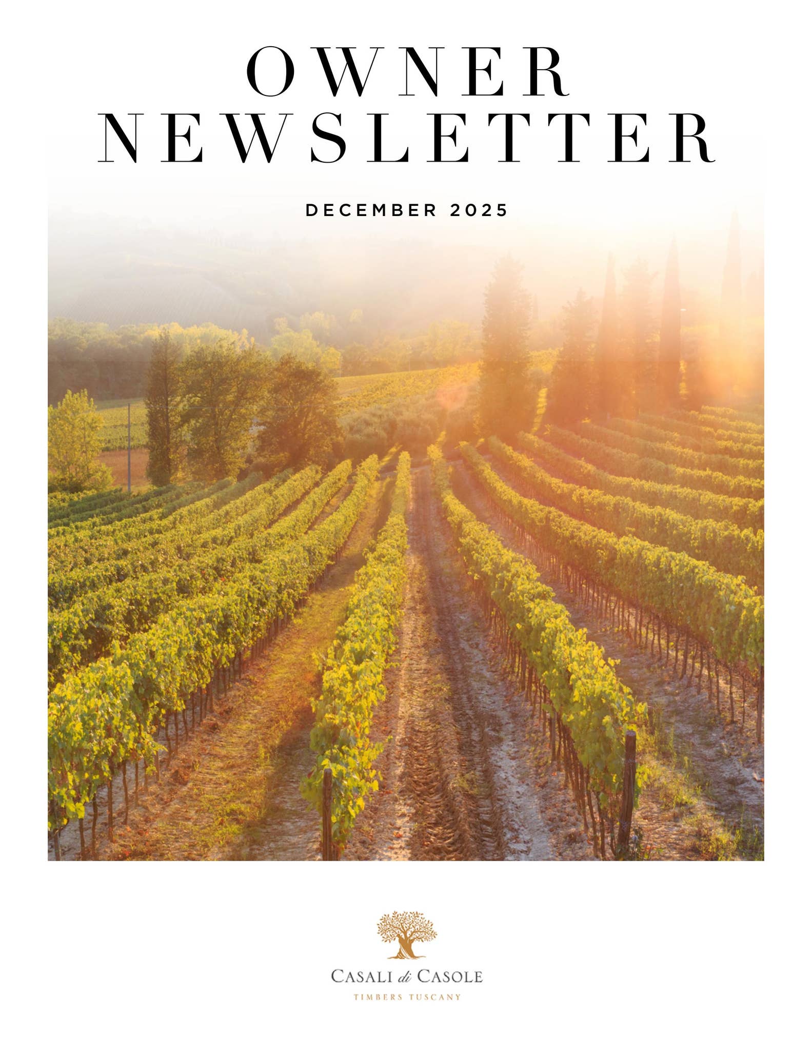 Casali di Casole Owner Newsletter December 2025 by Timbers Resorts - Issuu