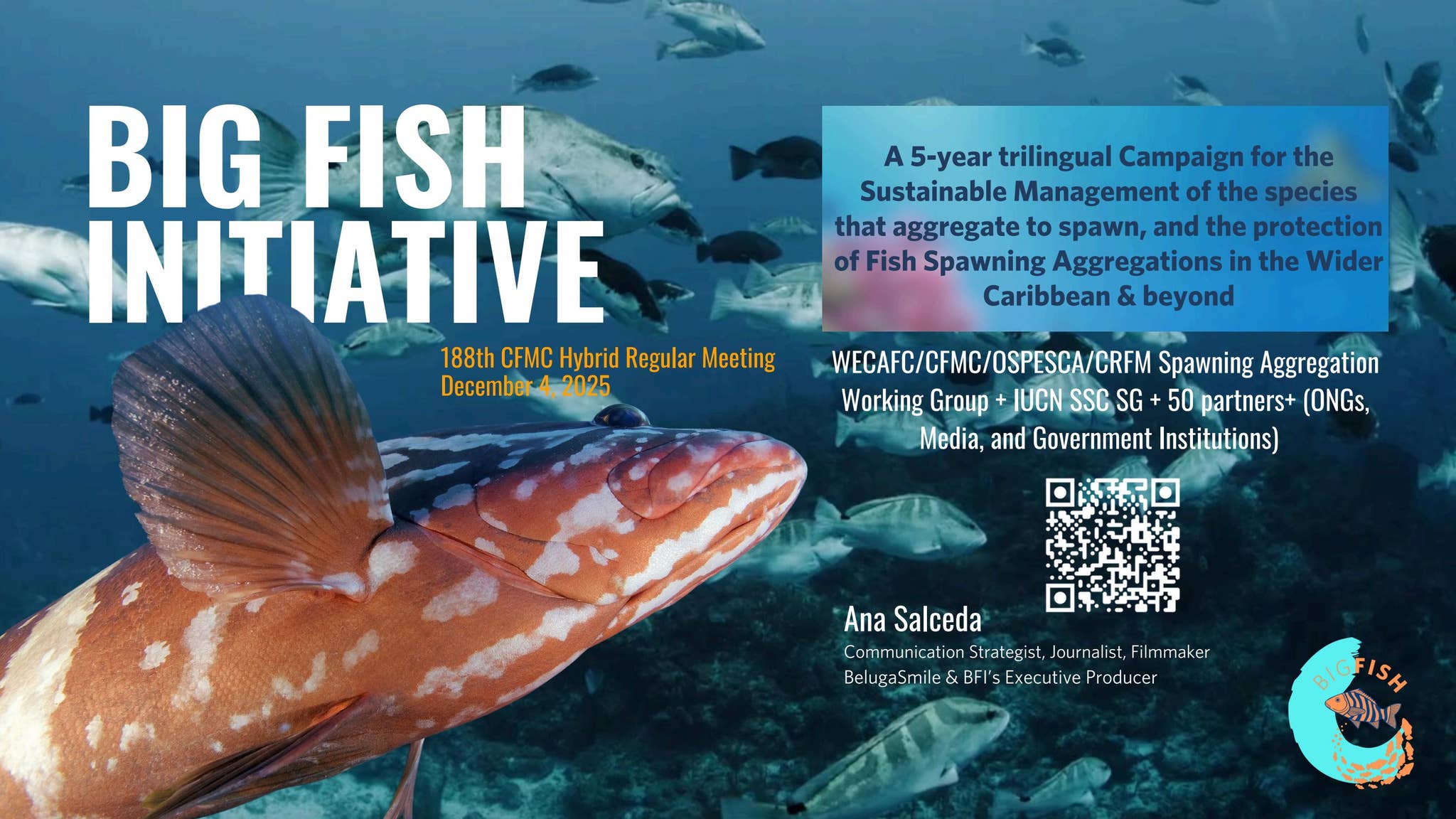 Big Fish Initiative 188th CFMC Regular Meeting Presentation by ...