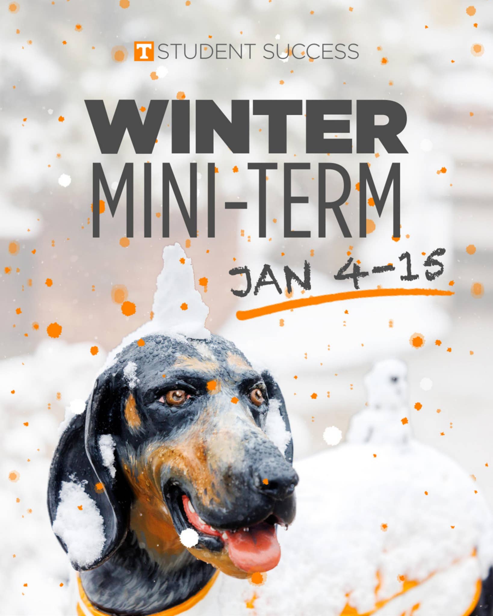 Winter Mini-Term Tips 2026 by utk-student-success - Issuu