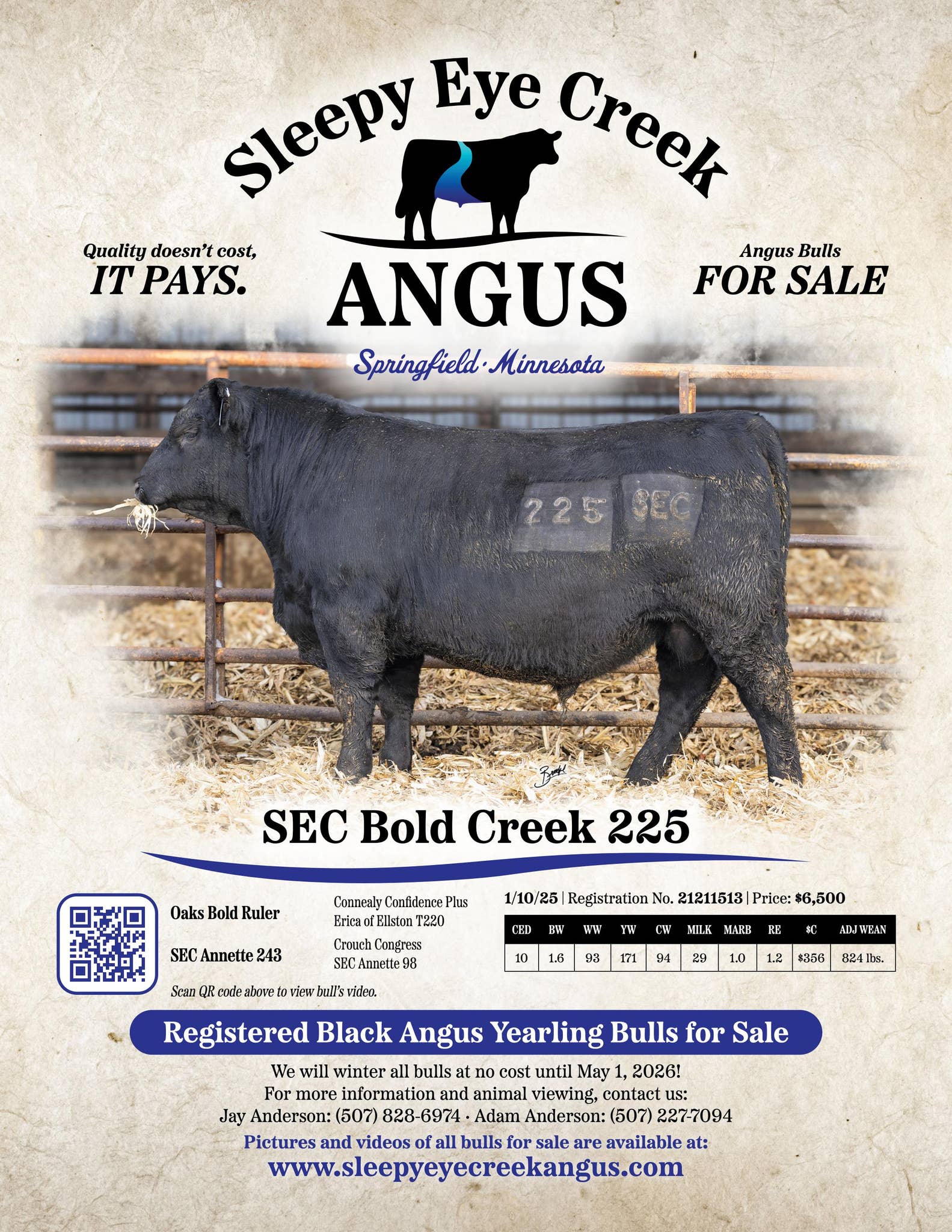 2025 Sleepy Eye Creek Angus Private Treaty Bull Mailer by Backroad ...