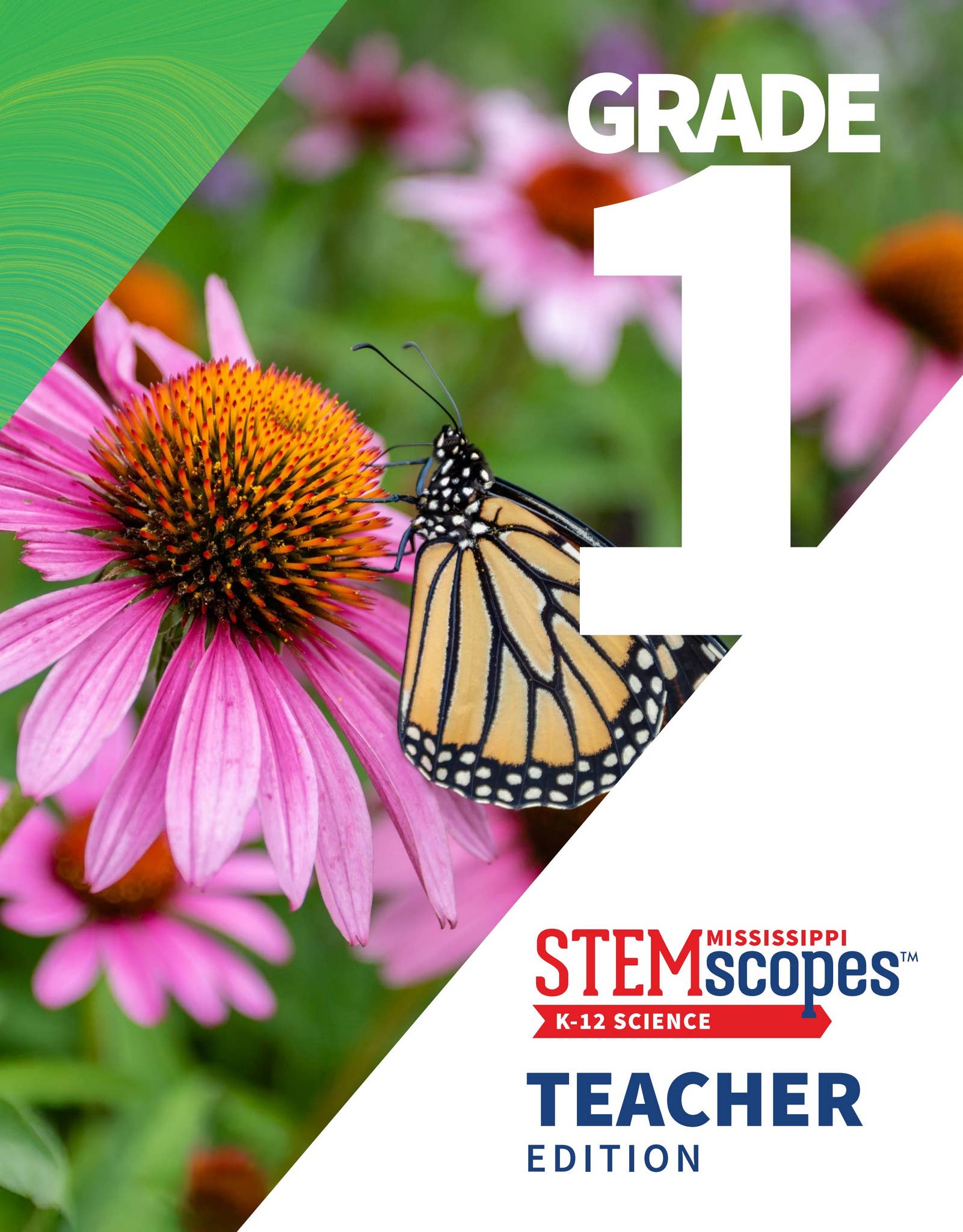 STEMscopes Science Mississippi Teacher Editions Grade 1 by ...