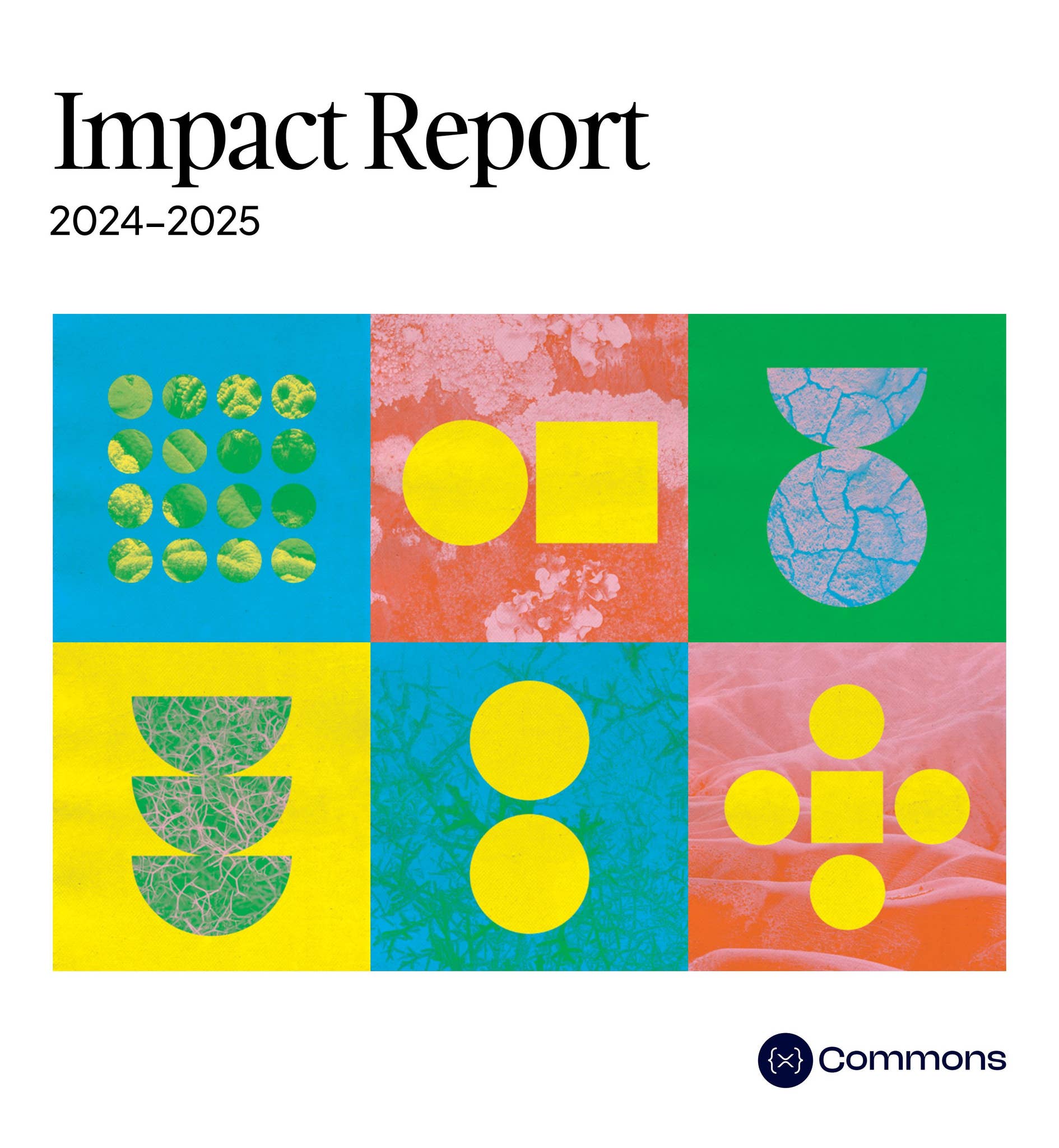 XRPL Commons Impact Report 2025 by XRPLCommons - Issuu