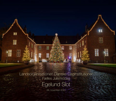LDD – Julefrokost 2025 - V3 by Stanley Photography - Issuu