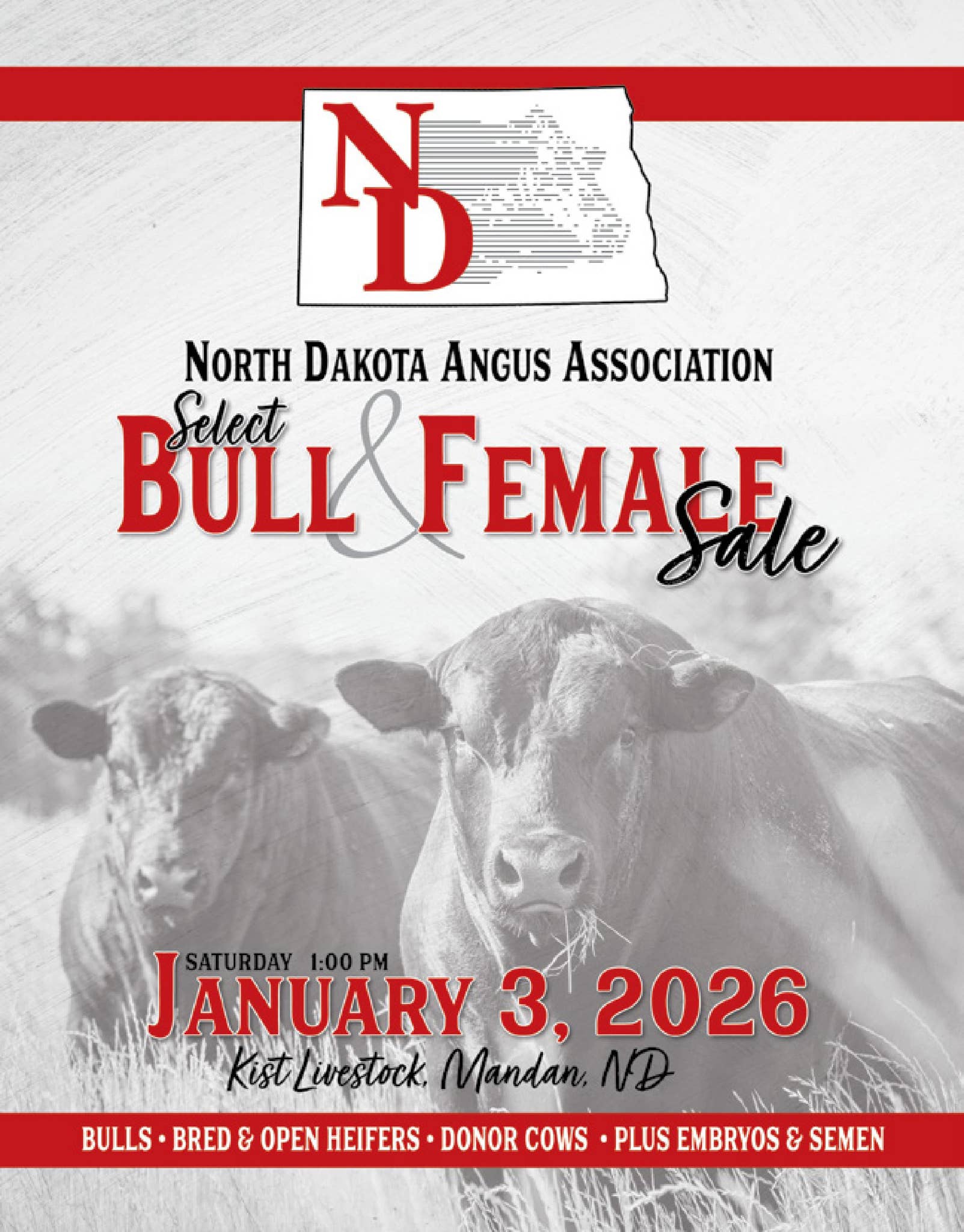 NDAA State Select Bull & Female Sale Catalog 2026 by PeltonLivestock ...