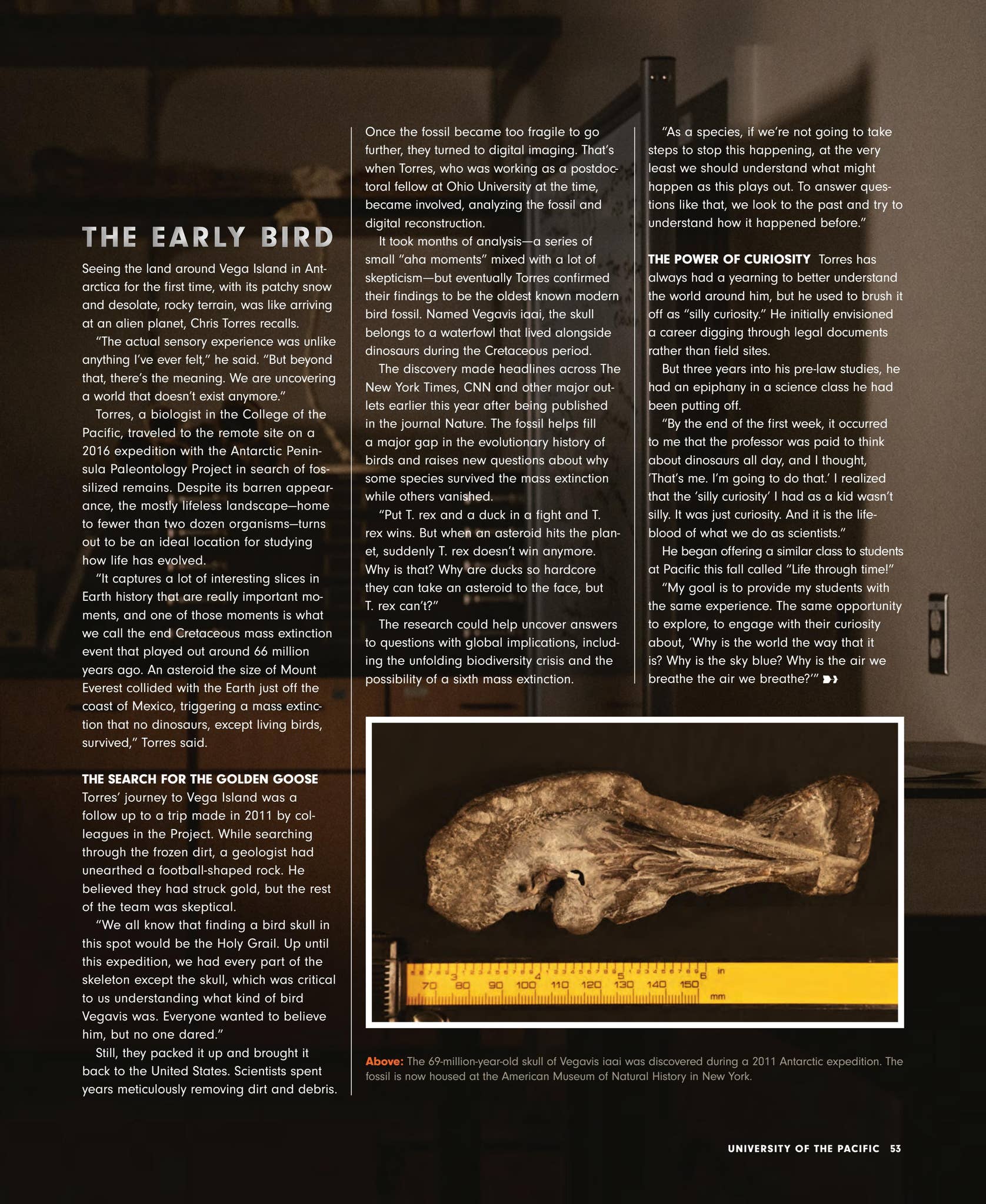 University of the Pacific Magazine | 2025 by University of the Pacific ...