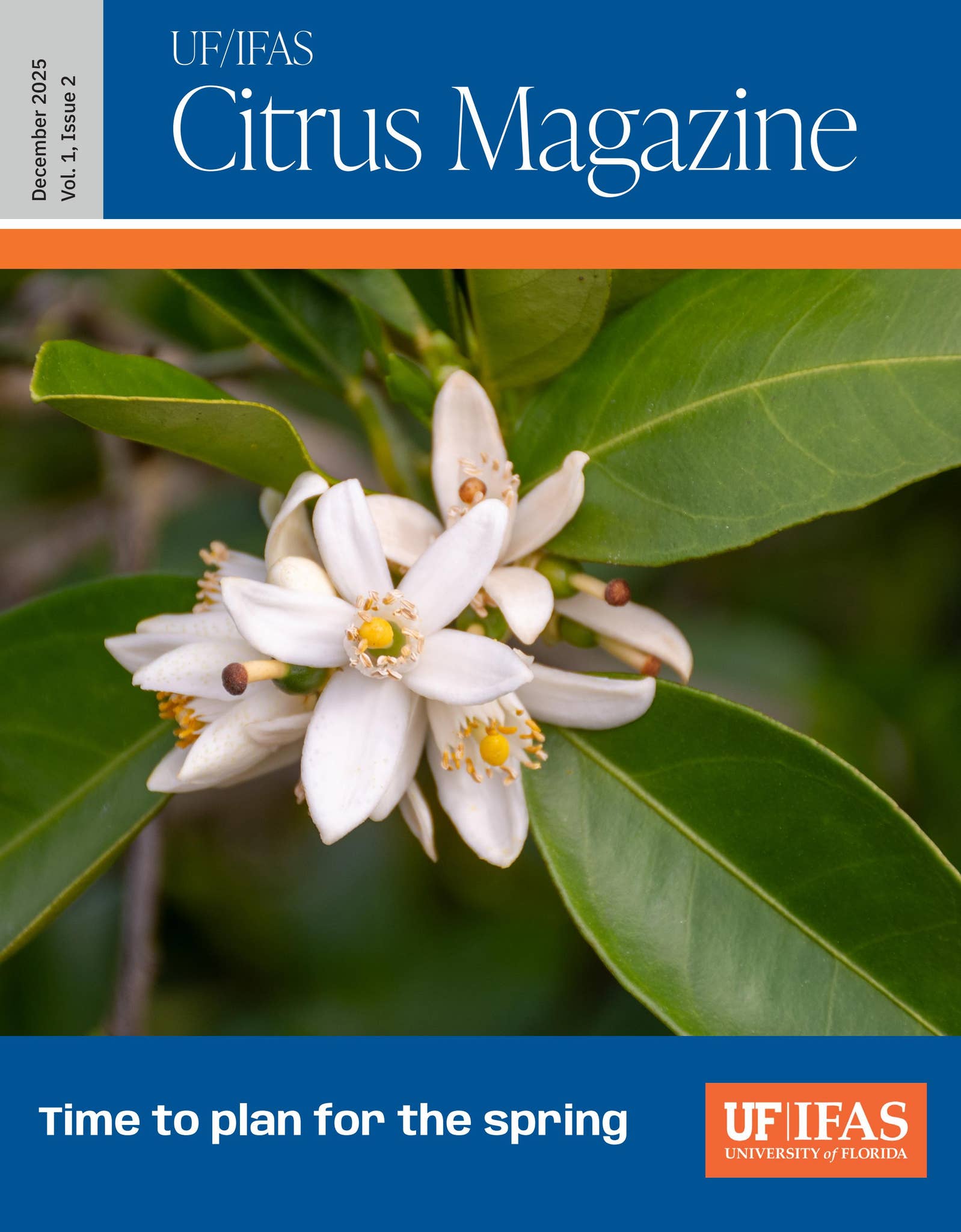 UF/IFAS Citrus Magazine - December 2025 by UF/IFAS Statewide Citrus ...