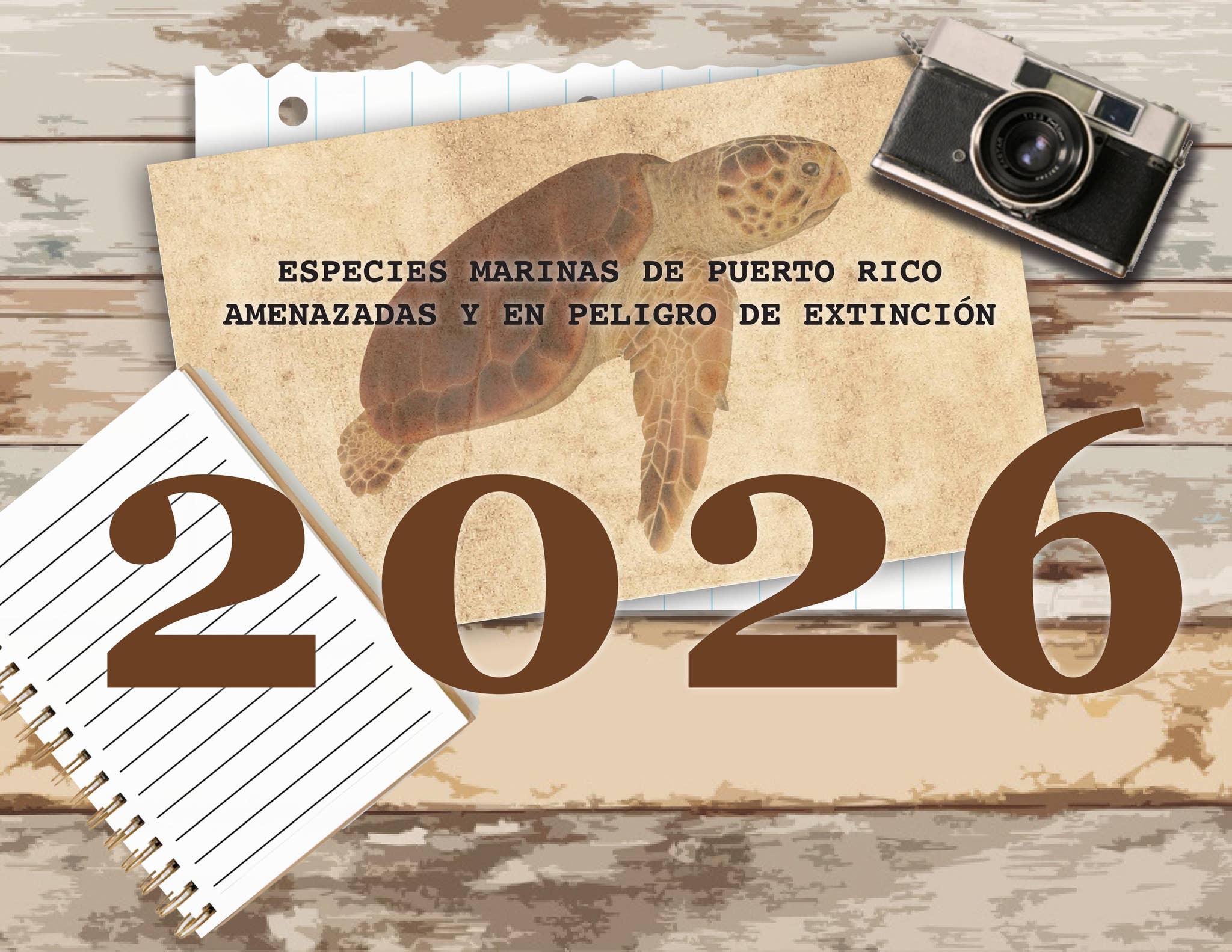 Calendario 2026: Especies marinas de Puerto Rico amenazadas y en ...