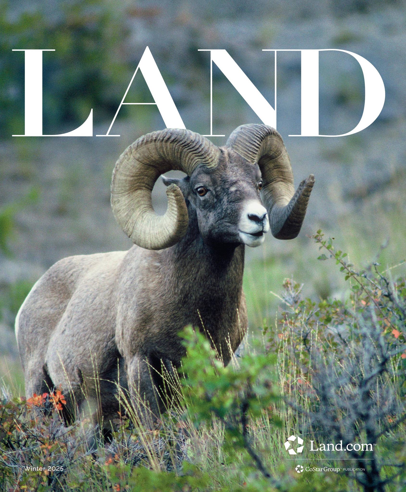 LAND Winter 2025 by LAND Magazines - Issuu