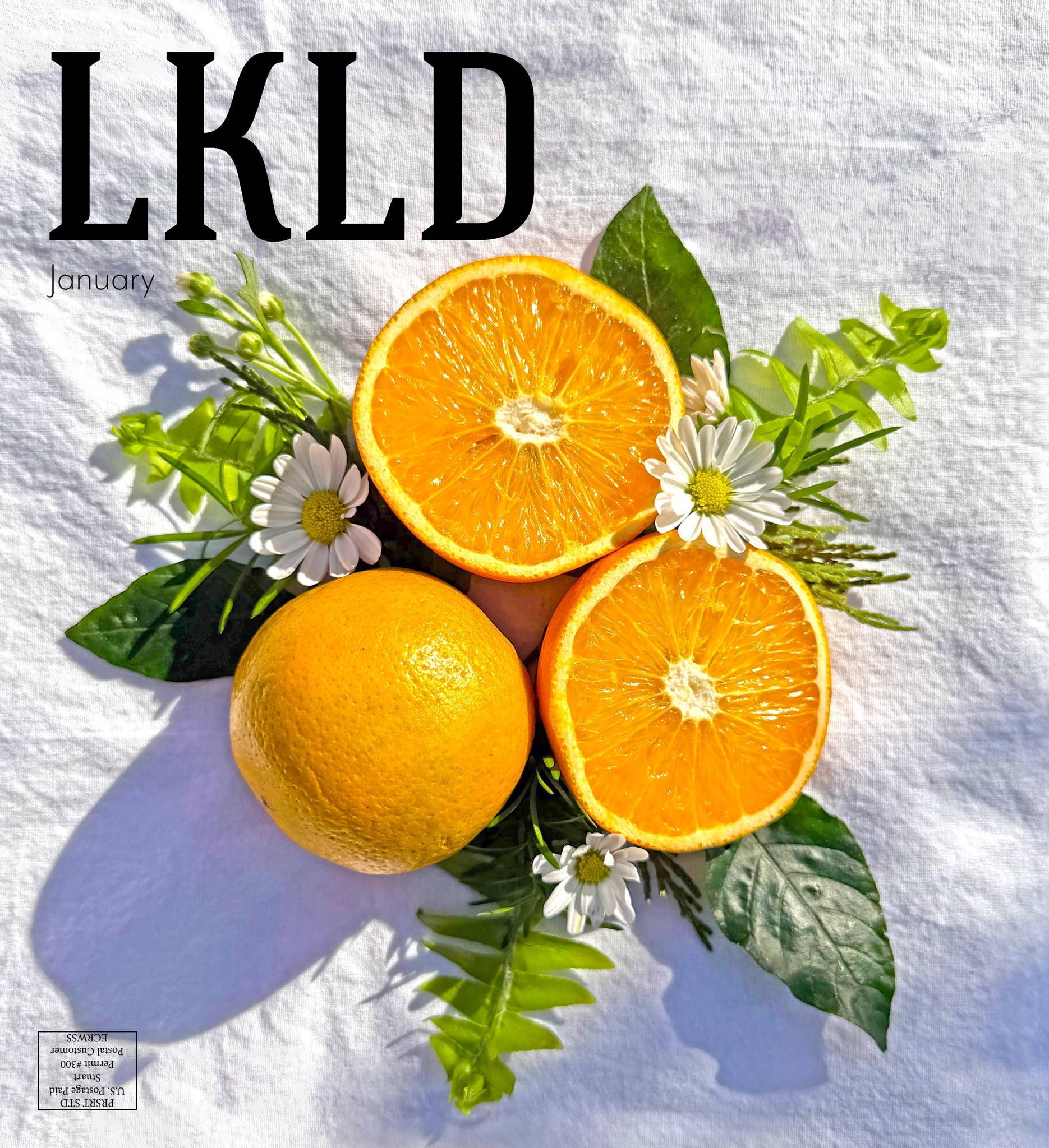 LKLD January 2026 by HAVEN & LKLD Magazines - Issuu