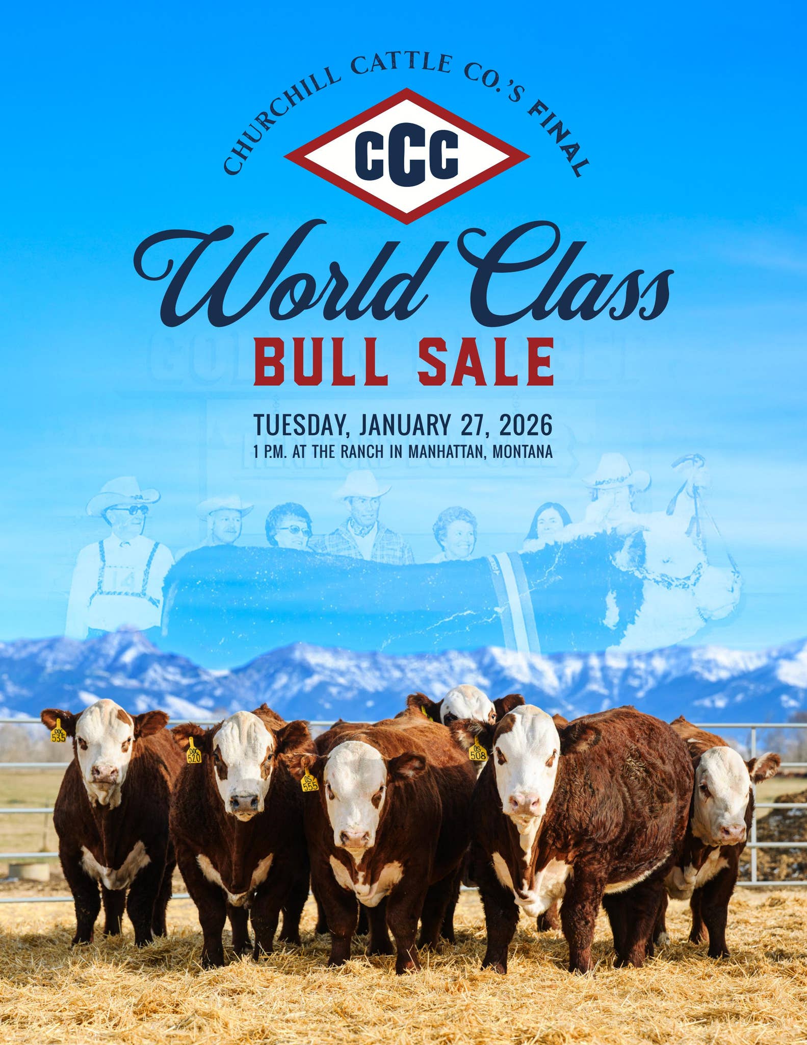 Churchill Cattle Company's Final World Class Bull Sale 2026 by Morgan ...