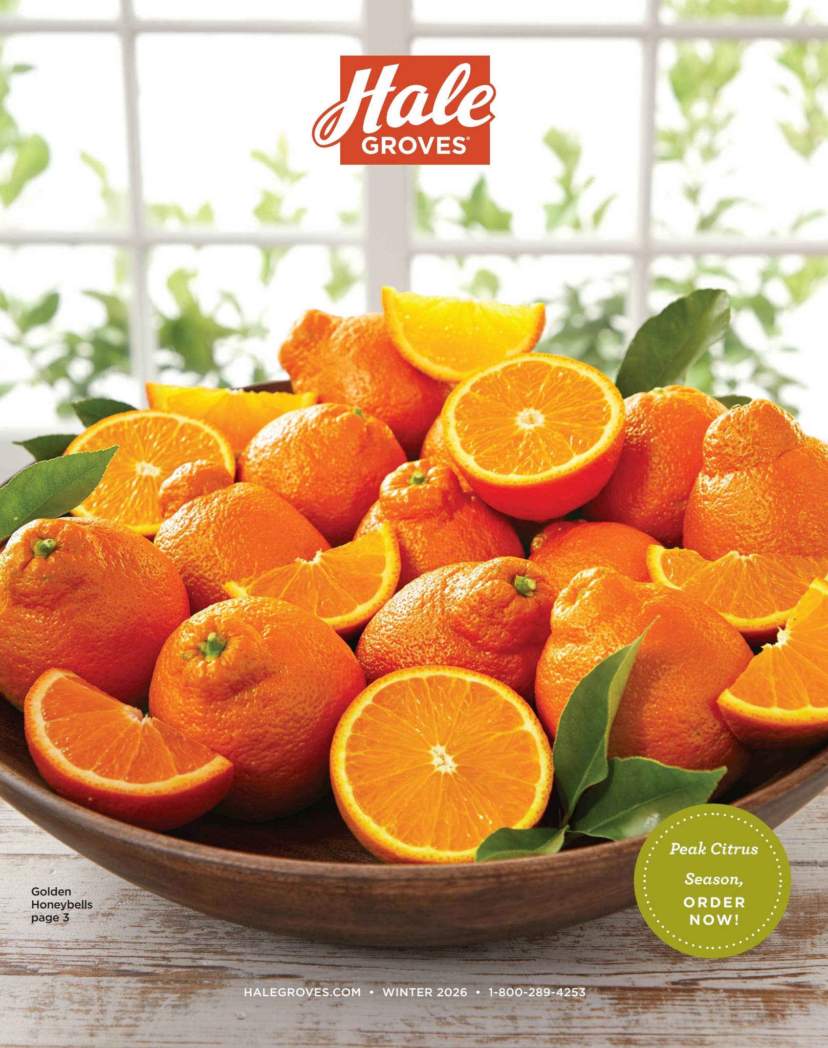 Hale Groves Catalog Winter 2026 by Indrio Brands - Issuu